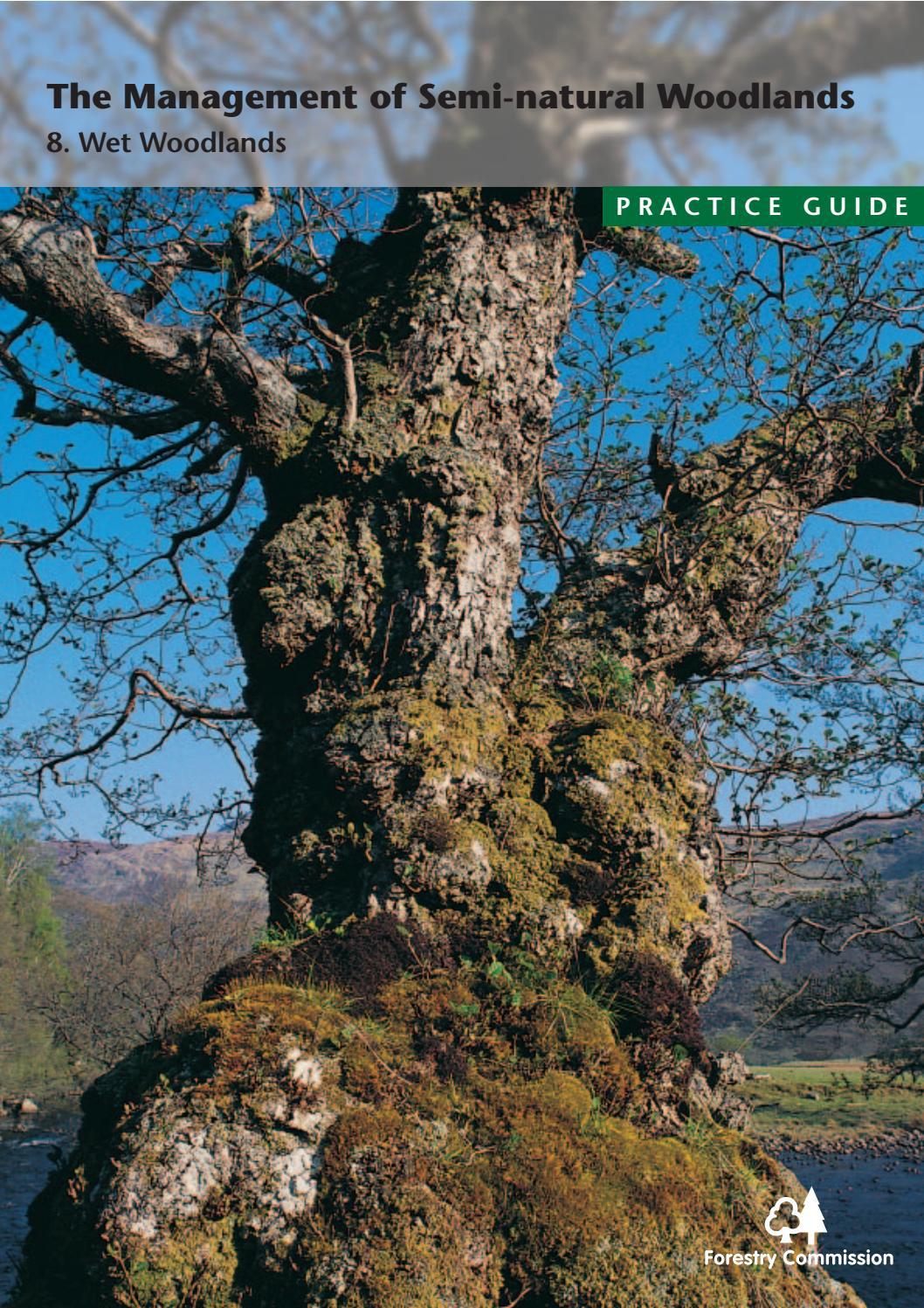 Forest Research - The management of semi-natural woodlands - 8 wet ...