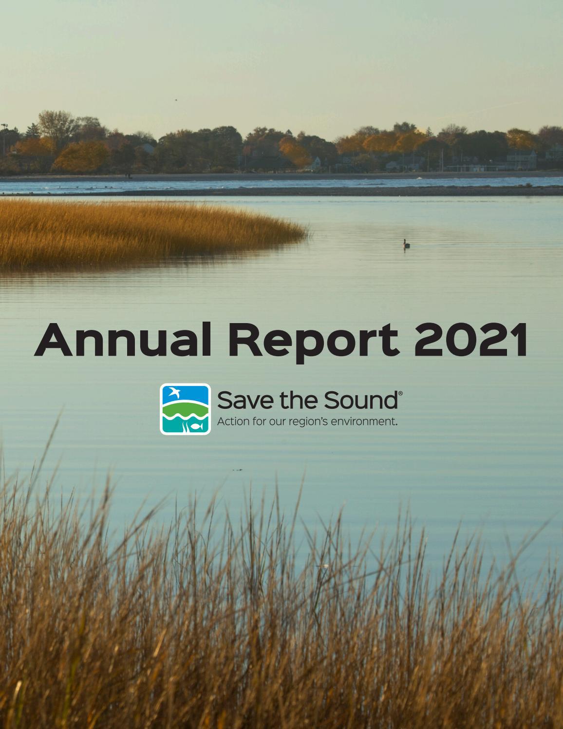 Annual Report 2021 by Save the Sound - Issuu