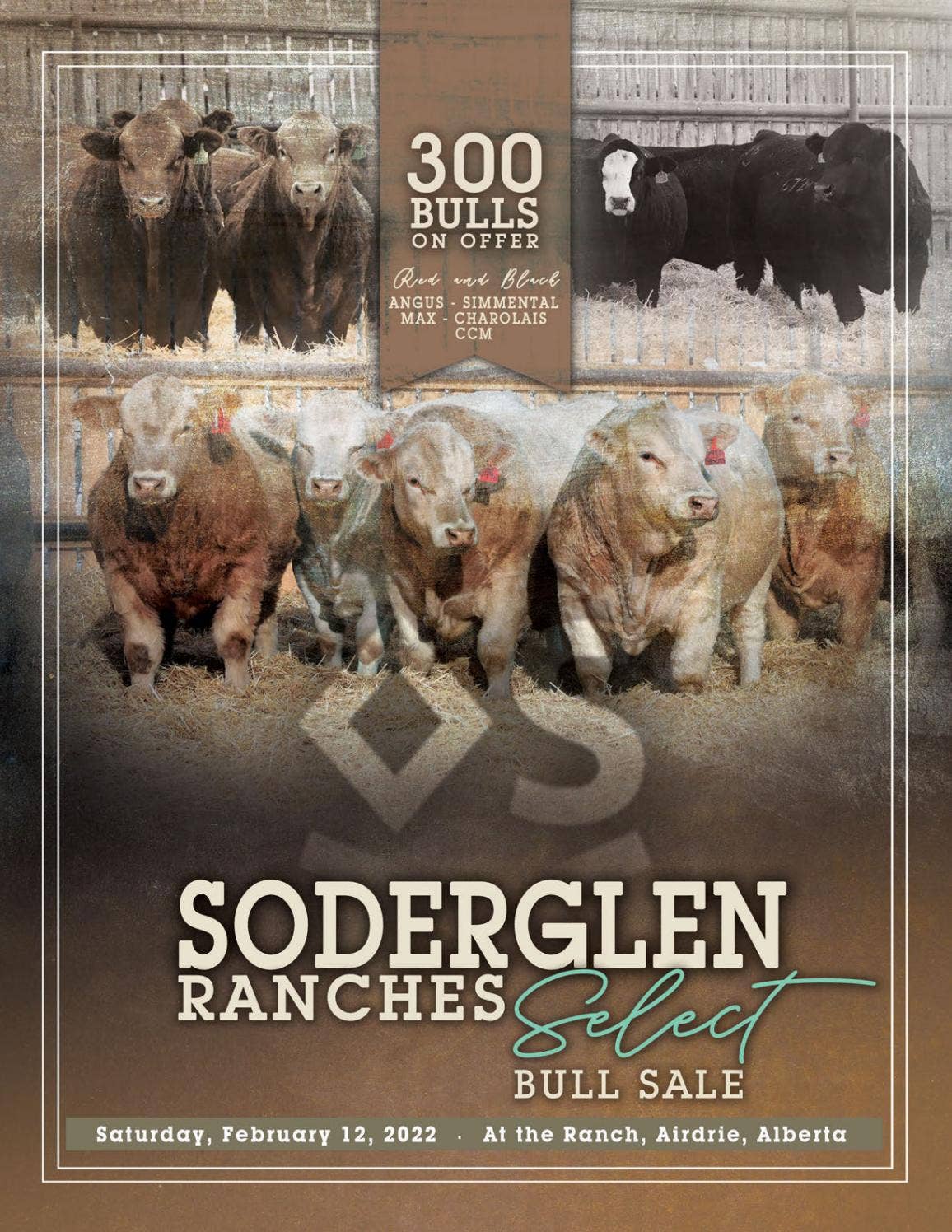 2022 Soderglen Ranches Select Bull Sale by 14westcreations - Issuu