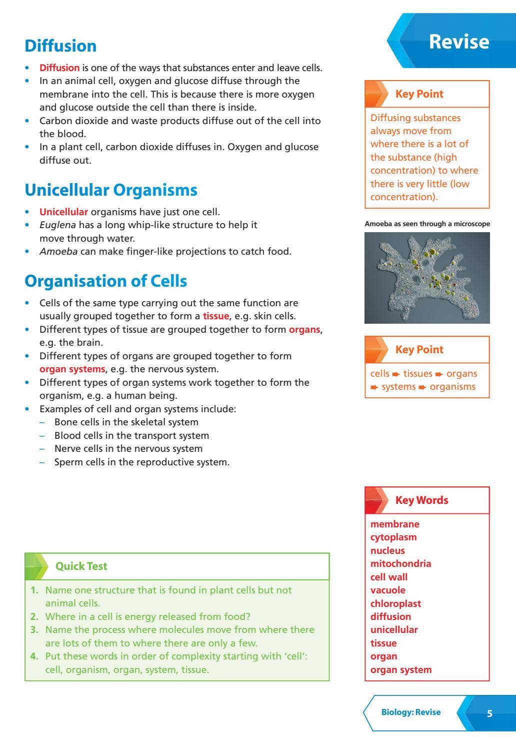 Collins KS3 Science Revision Guide Look Inside by Collins - Issuu