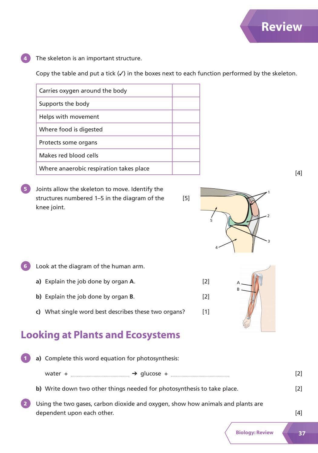 Collins KS3 Science Revision Guide Look Inside by Collins - Issuu