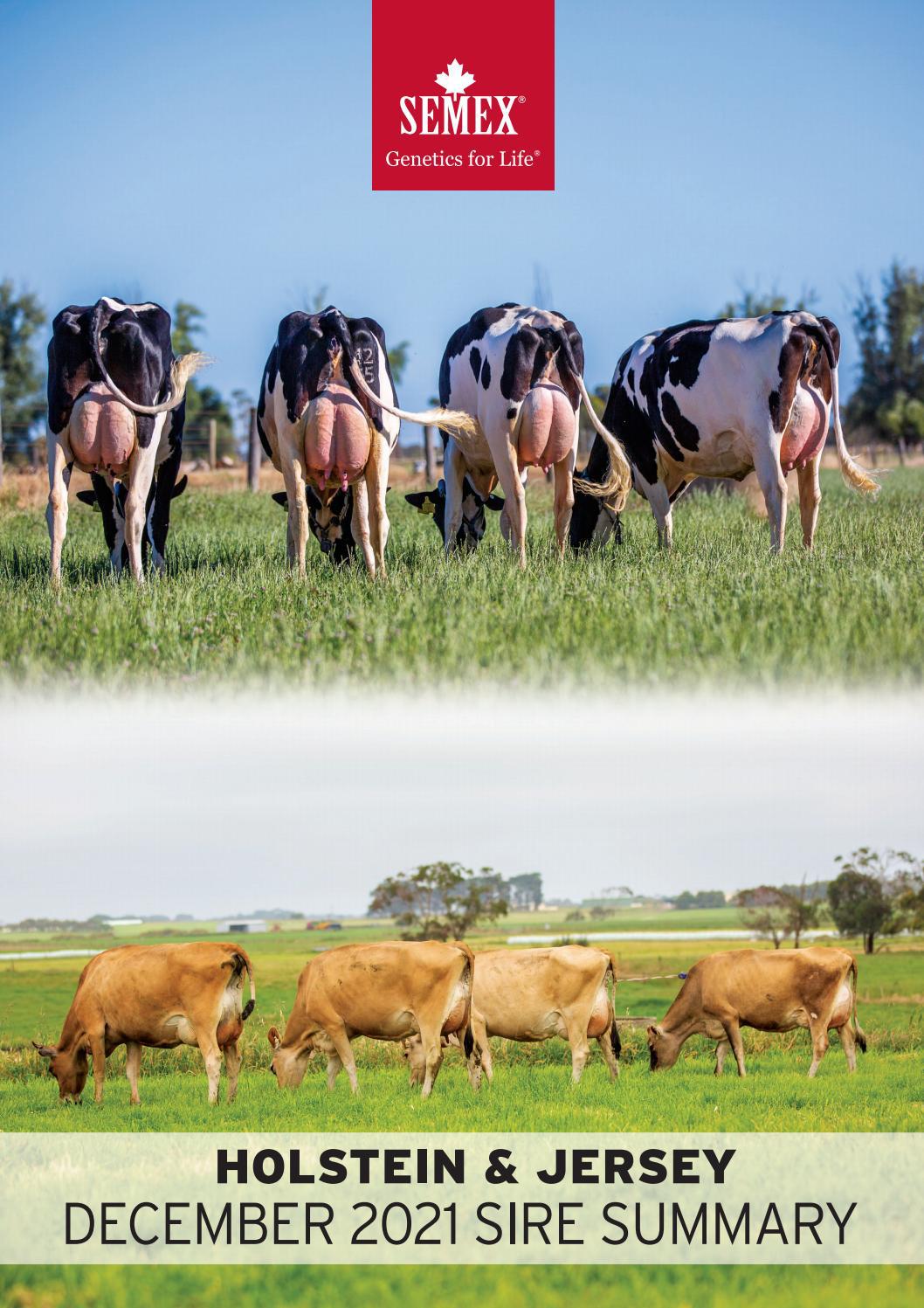 Semex - December 2021 Australia Catalogue by Semex - Issuu