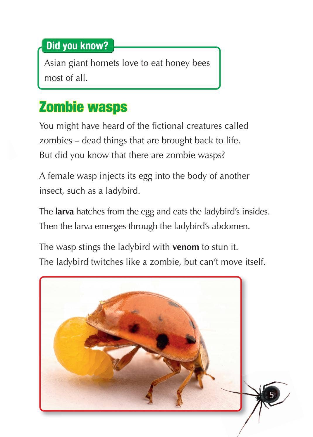Zombie Wasps by Collins - Issuu