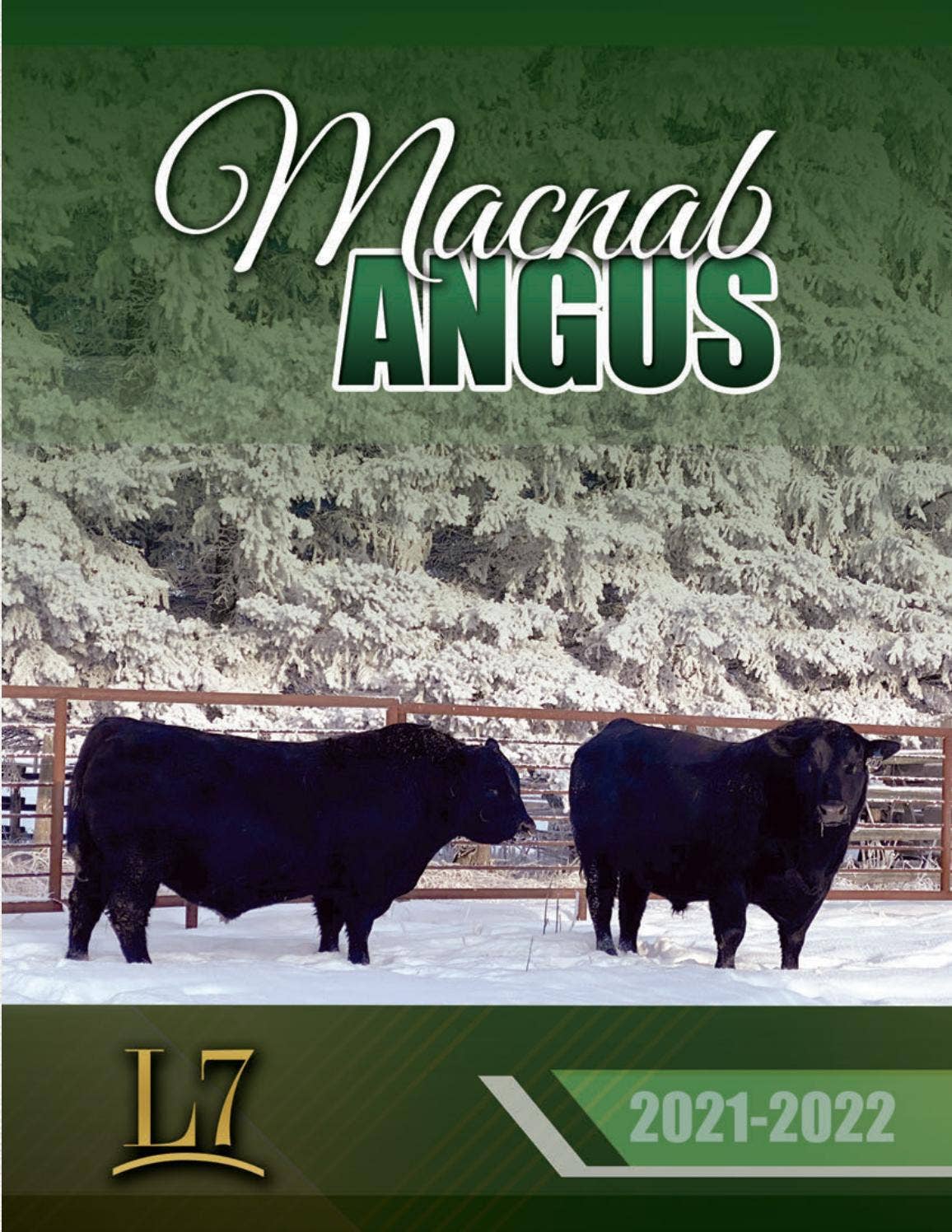Macnab Angus 2022 by Today's Publishing Inc. - Issuu