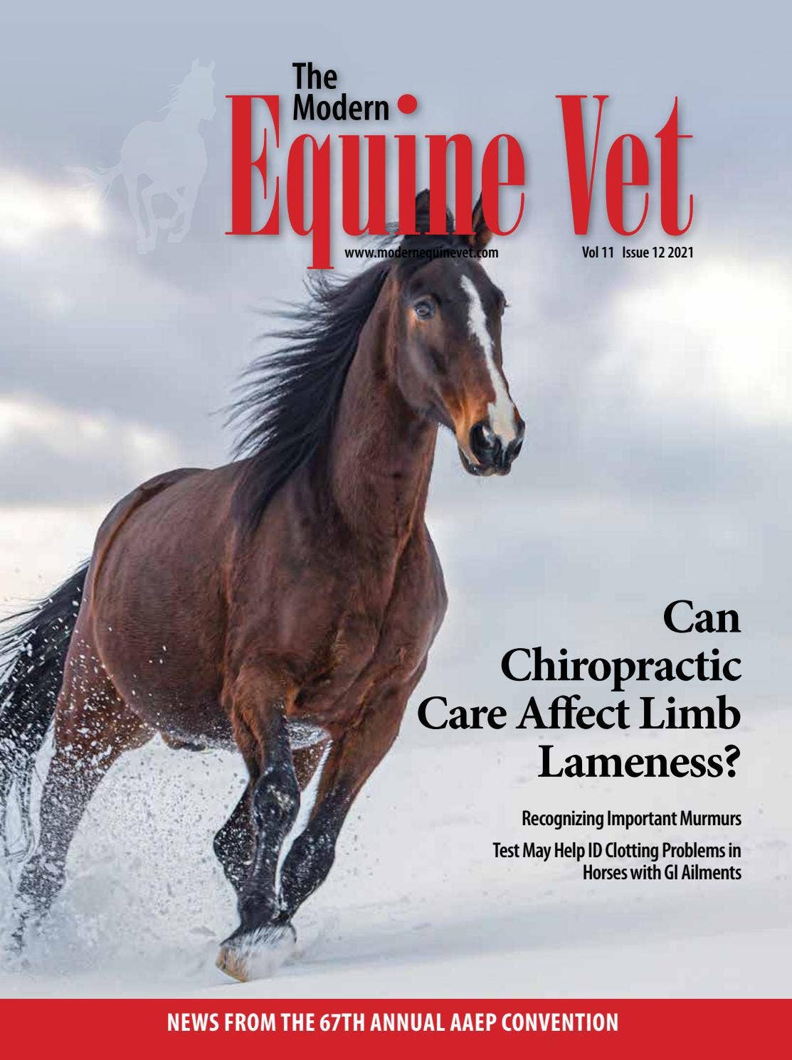 The Modern Equine Vet - December 2021 by The Modern Equine Vet - Issuu