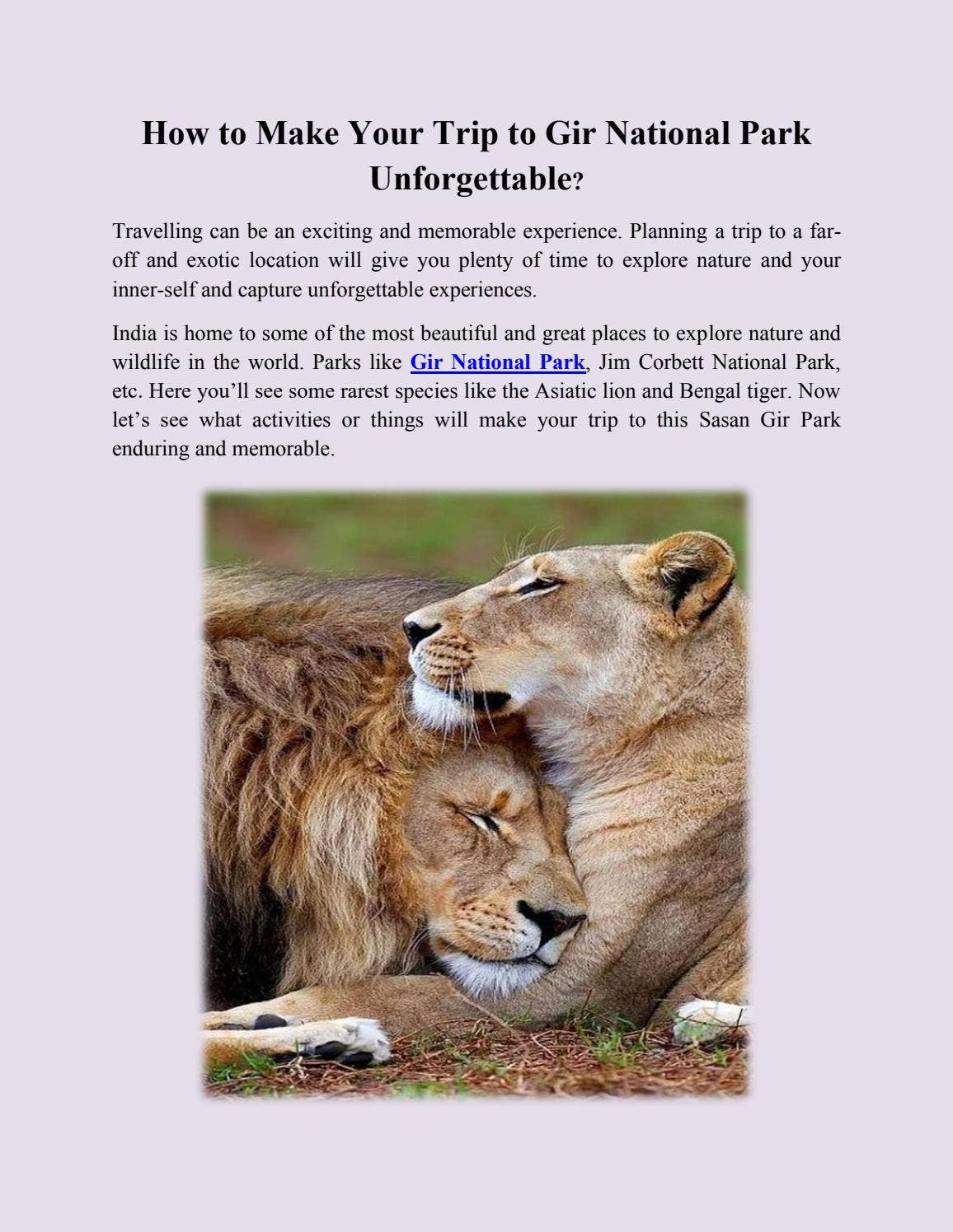 How to Make Your Trip to Gir National Park Unforgettable? by Gir Lion ...