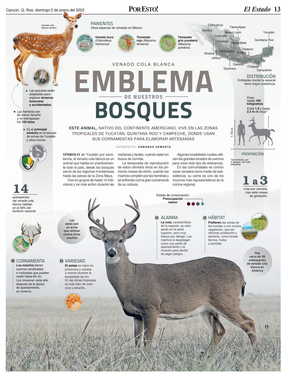 Especial Venado Cola Blanca by PorEsto! - Issuu