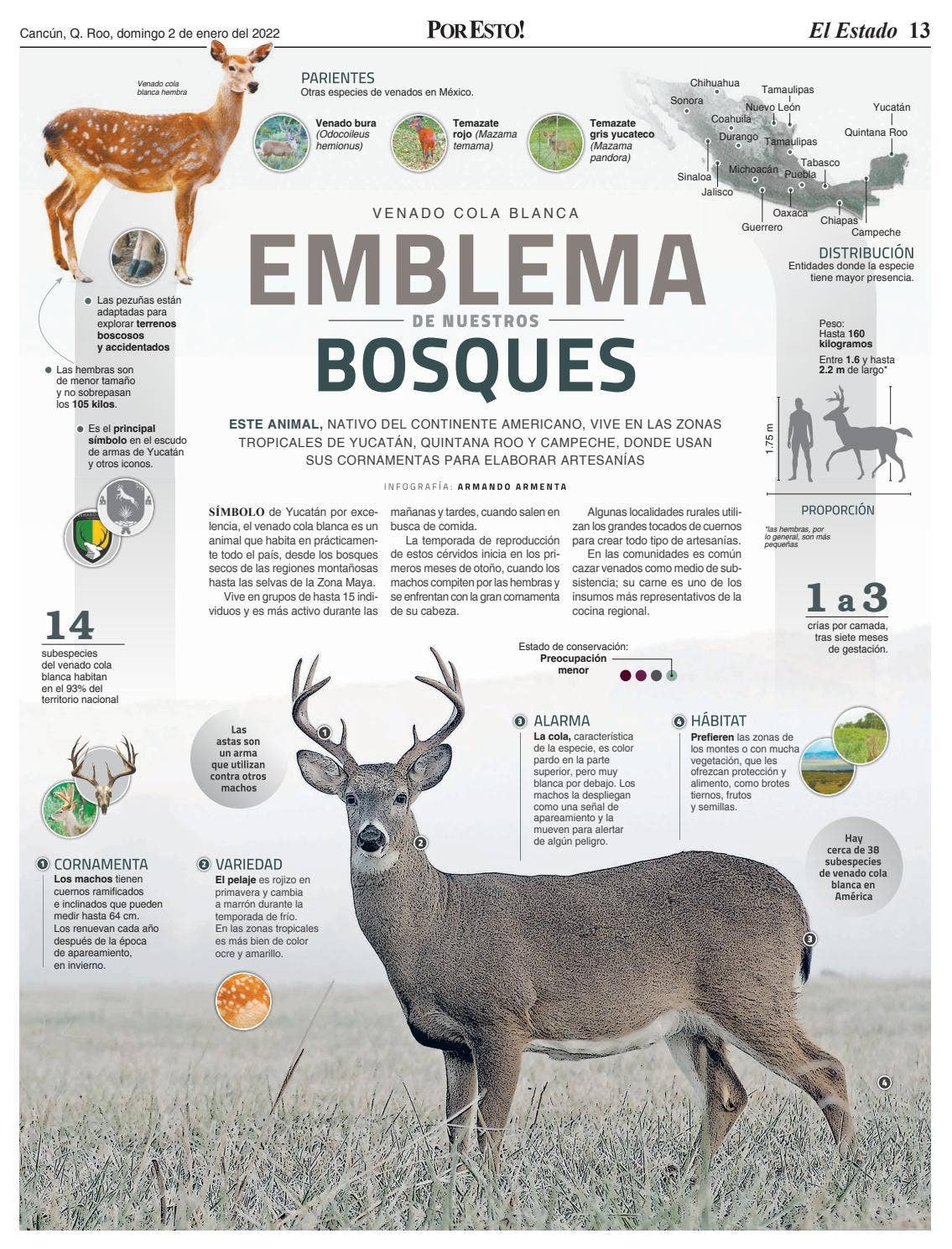 Especial Venado Cola Blanca by PorEsto! - Issuu
