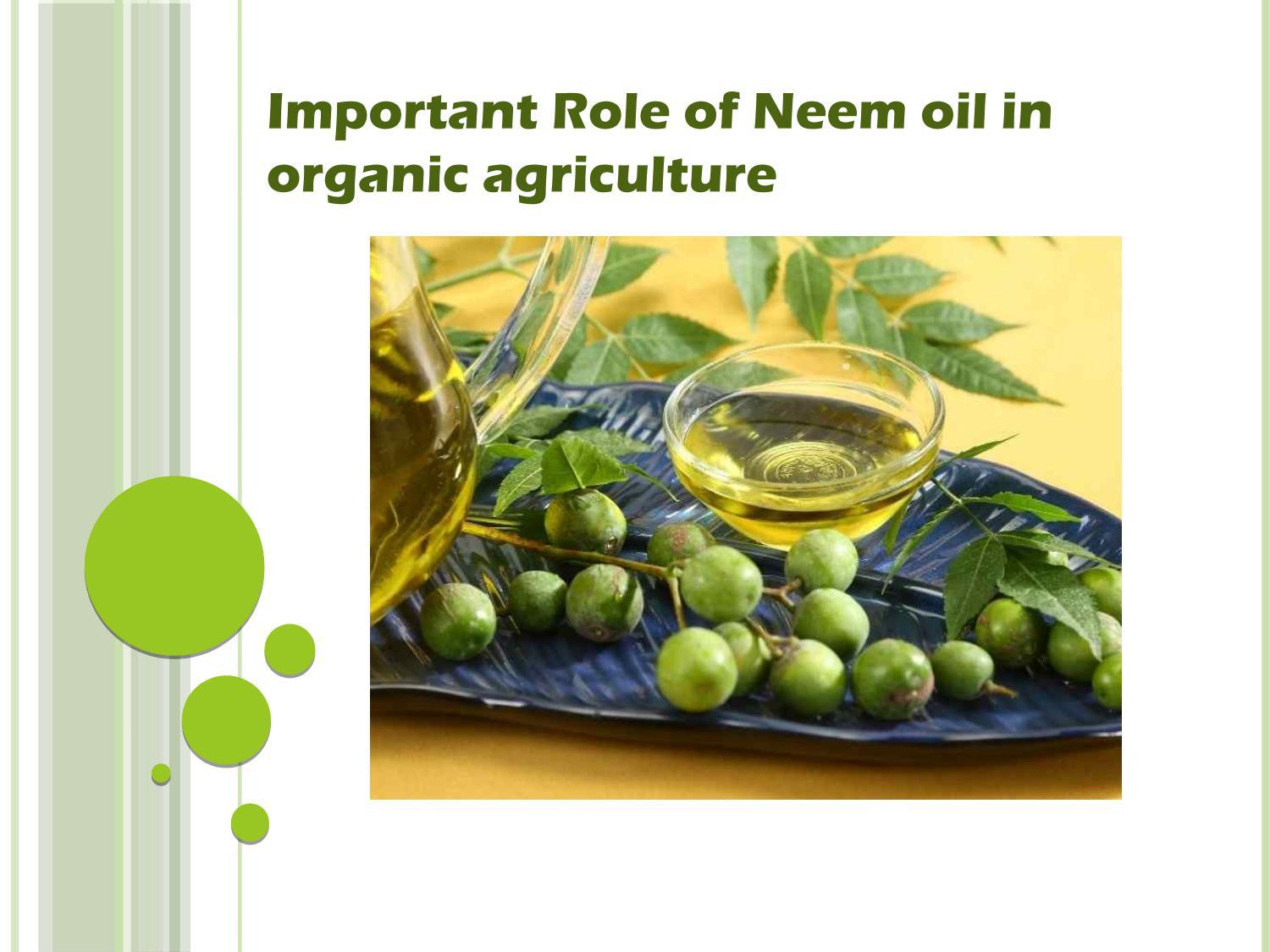 Role of neem oil in organic farming - indogulf bioAG by Isabella Brown ...