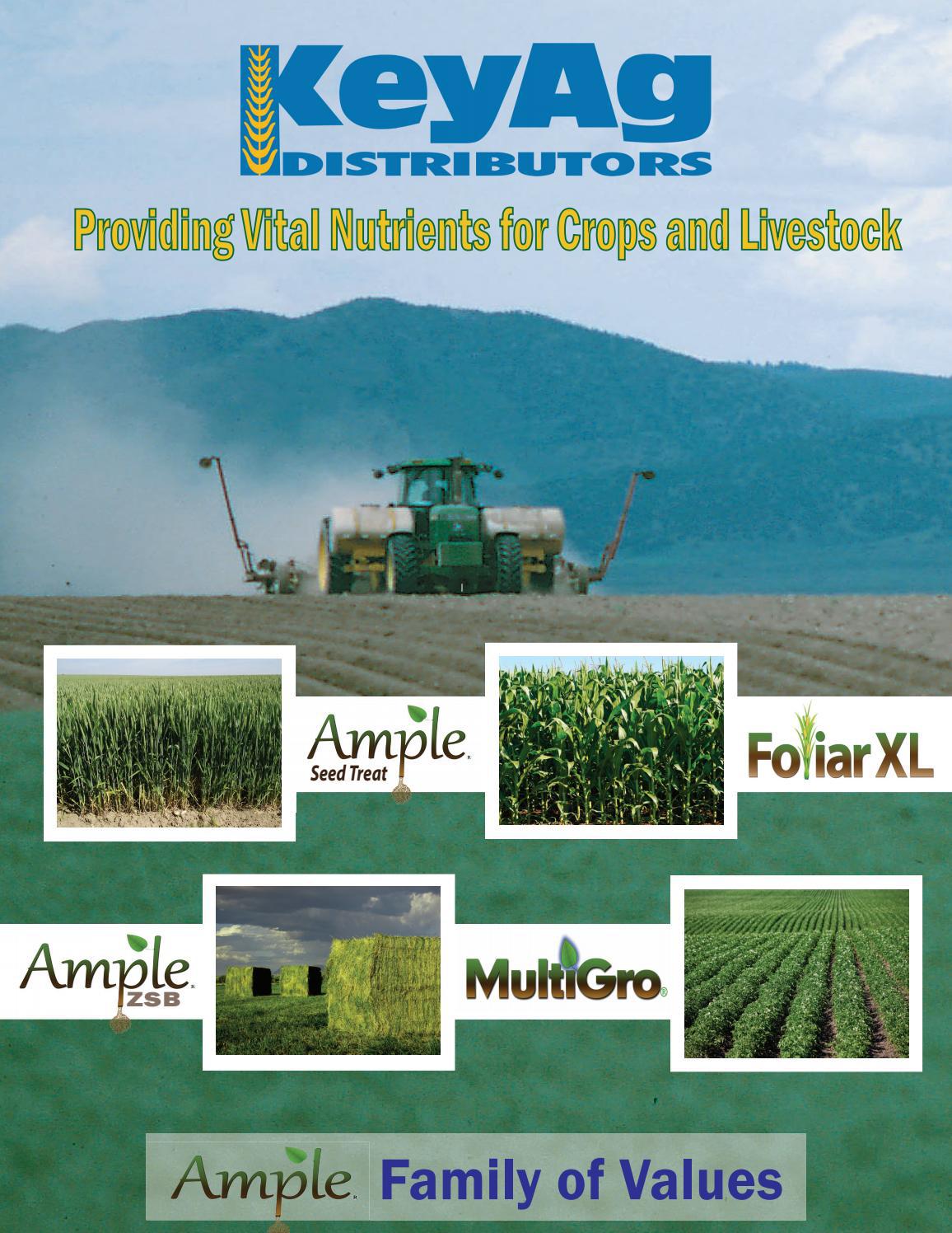 Ample Family of Value from KeyAg Distributors by KeyAg Distributors - Issuu