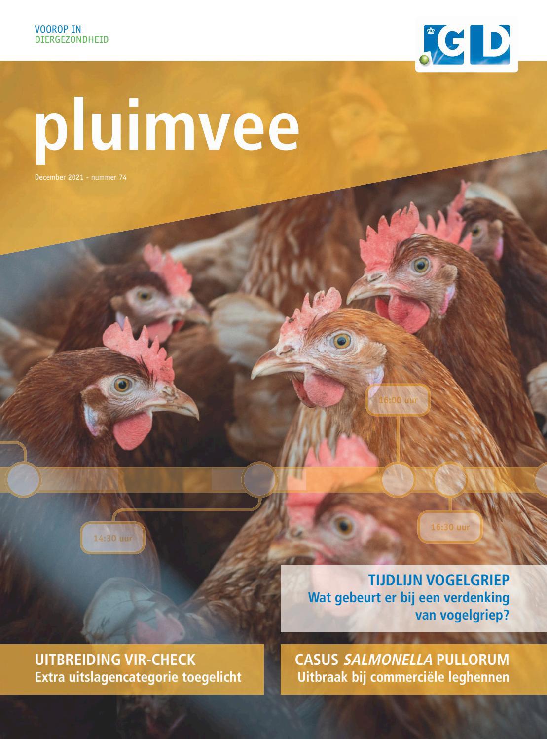 Pluimvee 74 - december 2021 by Royal GD - Issuu
