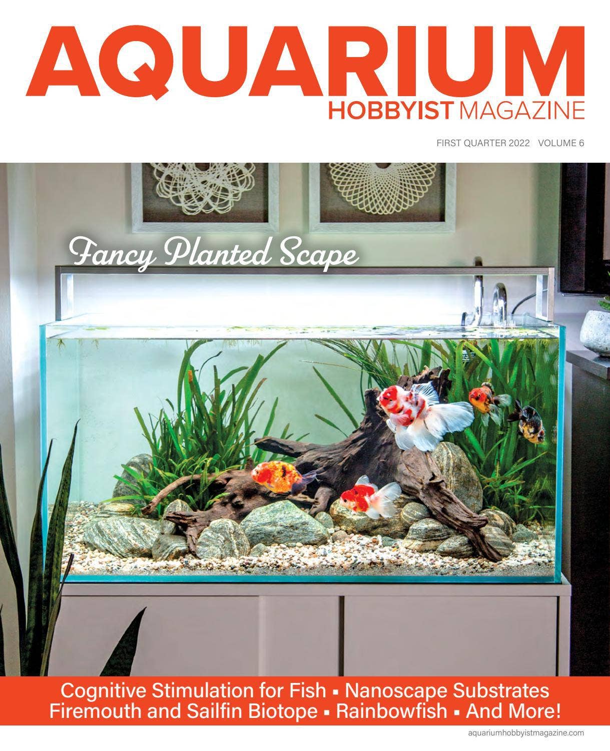 Aquarium Hobbyist Magazine Q1 2022 by Reef Hobbyist Magazine - Issuu