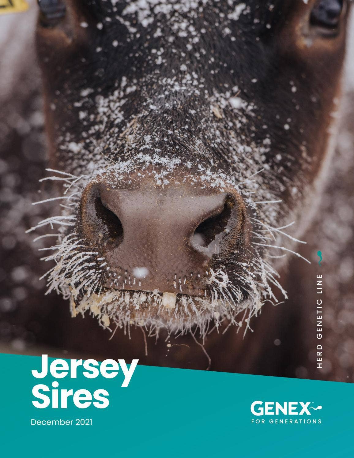 Global Jersey Catalog, December 2021 by GENEX - Issuu
