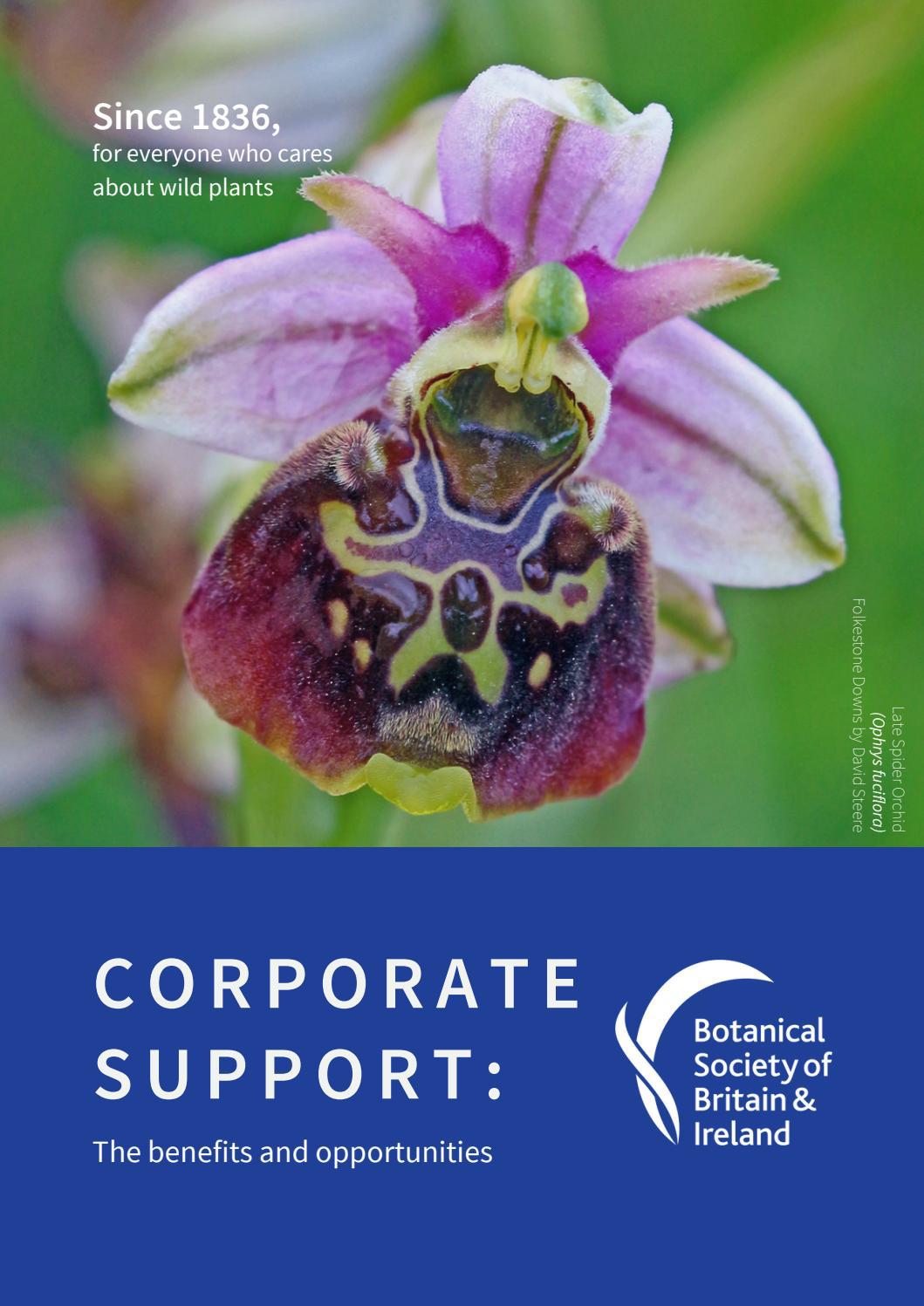 Corporate Support Brochure by Botanical Society of Britain & Ireland ...