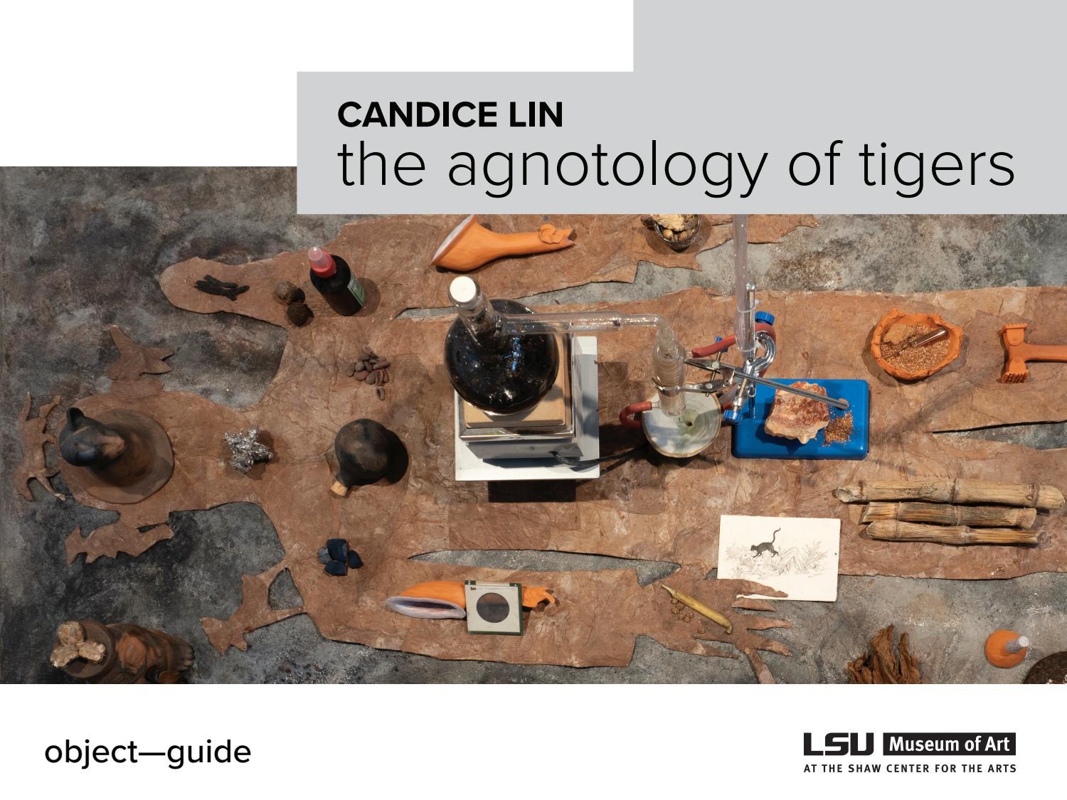 Candice Lin: The Agnotology of Tigers / Object Guide by LSU Museum of ...