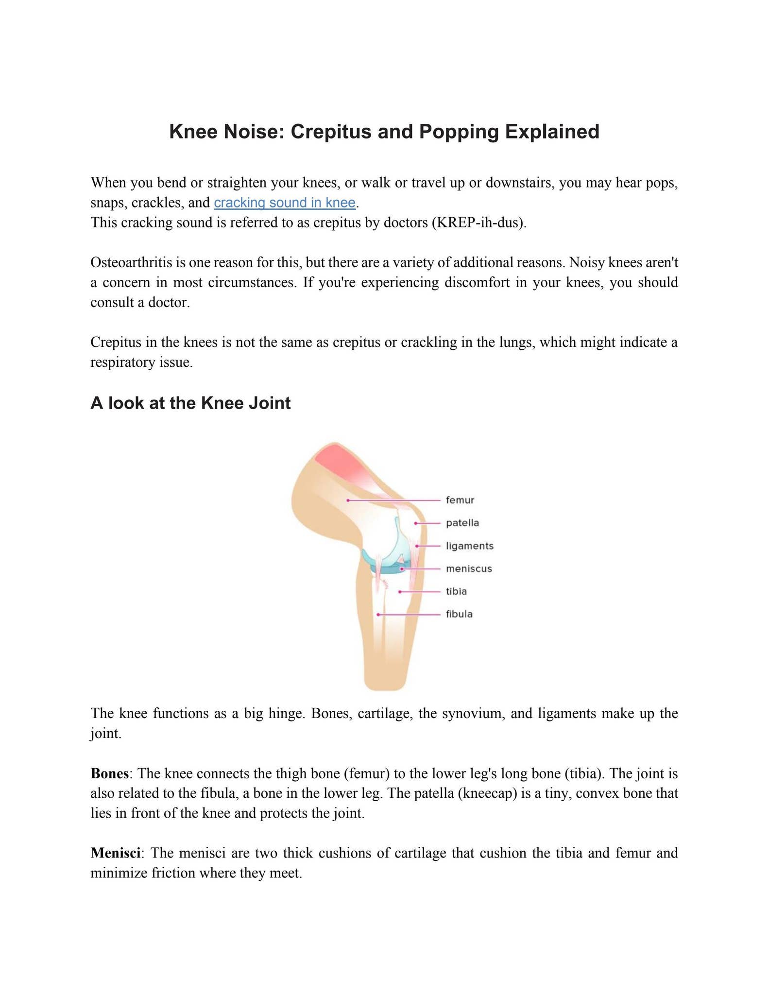Knee Noise Crepitus and Popping Explained by spinalogypune - Issuu