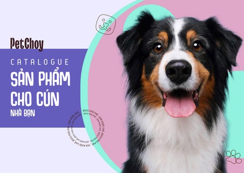 Project No. 2_ Design Catalog_Products for dogs_Pet Choy by Nguyen Dang ...