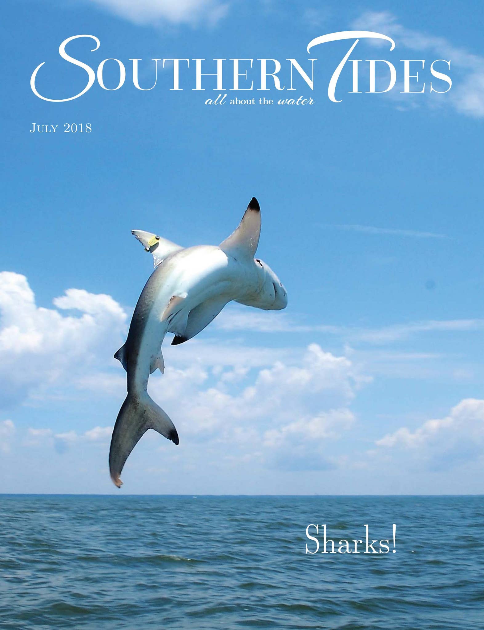 Southern Tides July 2018 by Southern Tides Magazine - Issuu