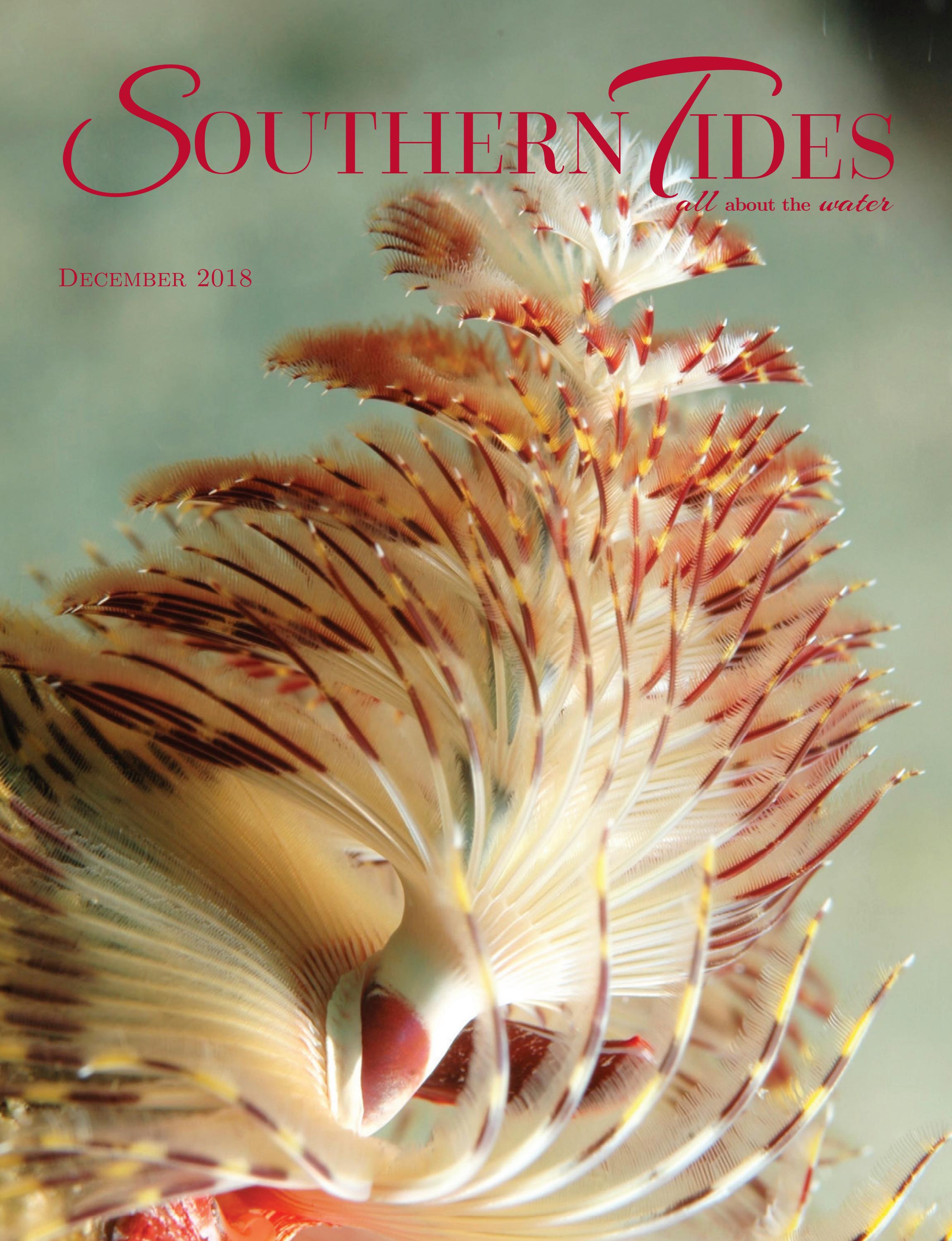 Southern Tides December 2018 by Southern Tides Magazine - Issuu