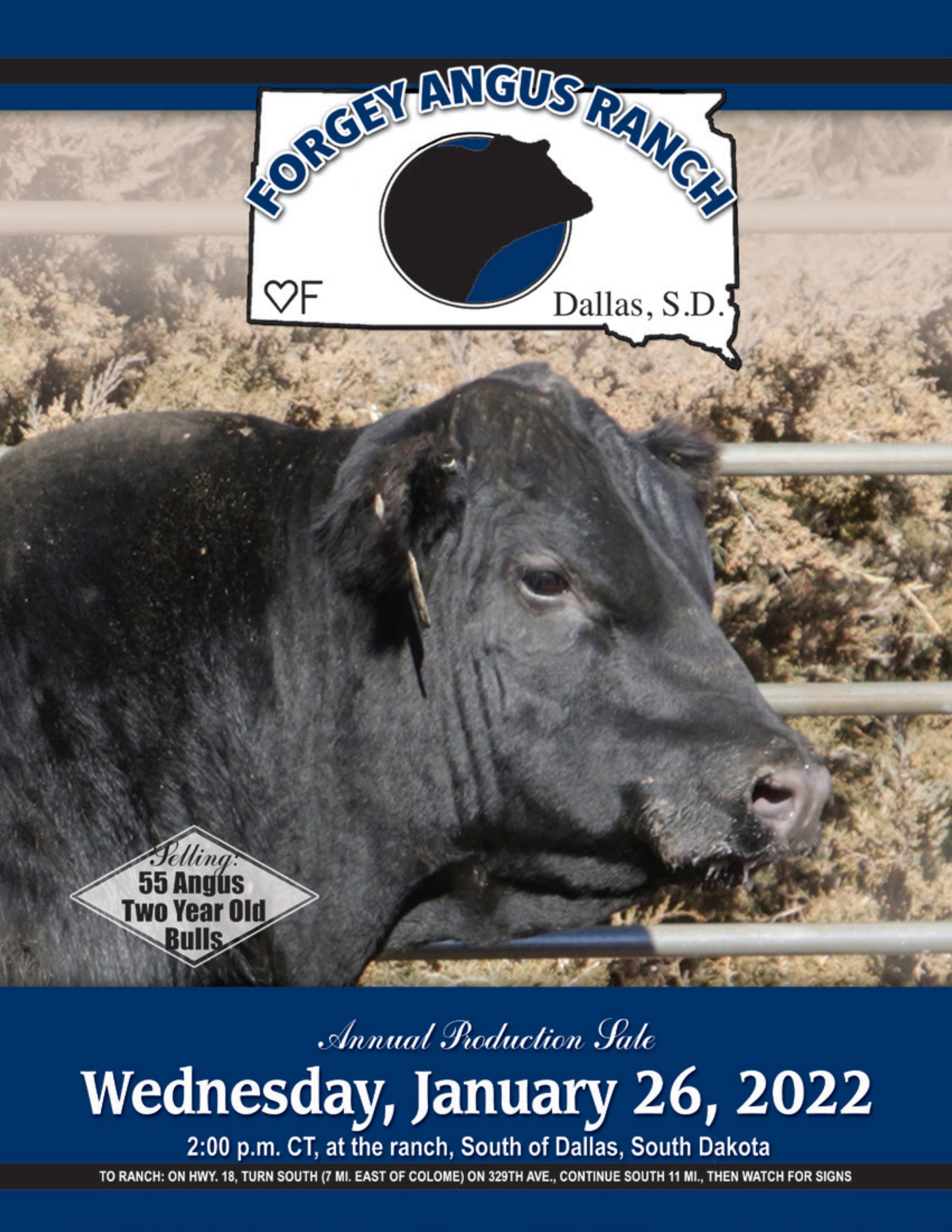 Forgey Angus 2022 Catalog by RPI Promotions - Issuu