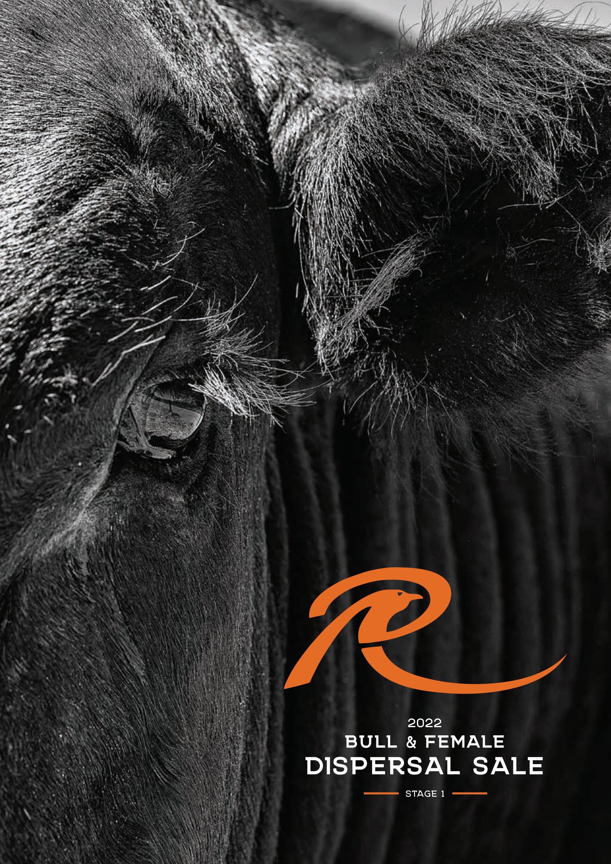 Raven 2022 Bull & Female Dispersal Sale - Stage 1 by Cattlelogue Queen ...