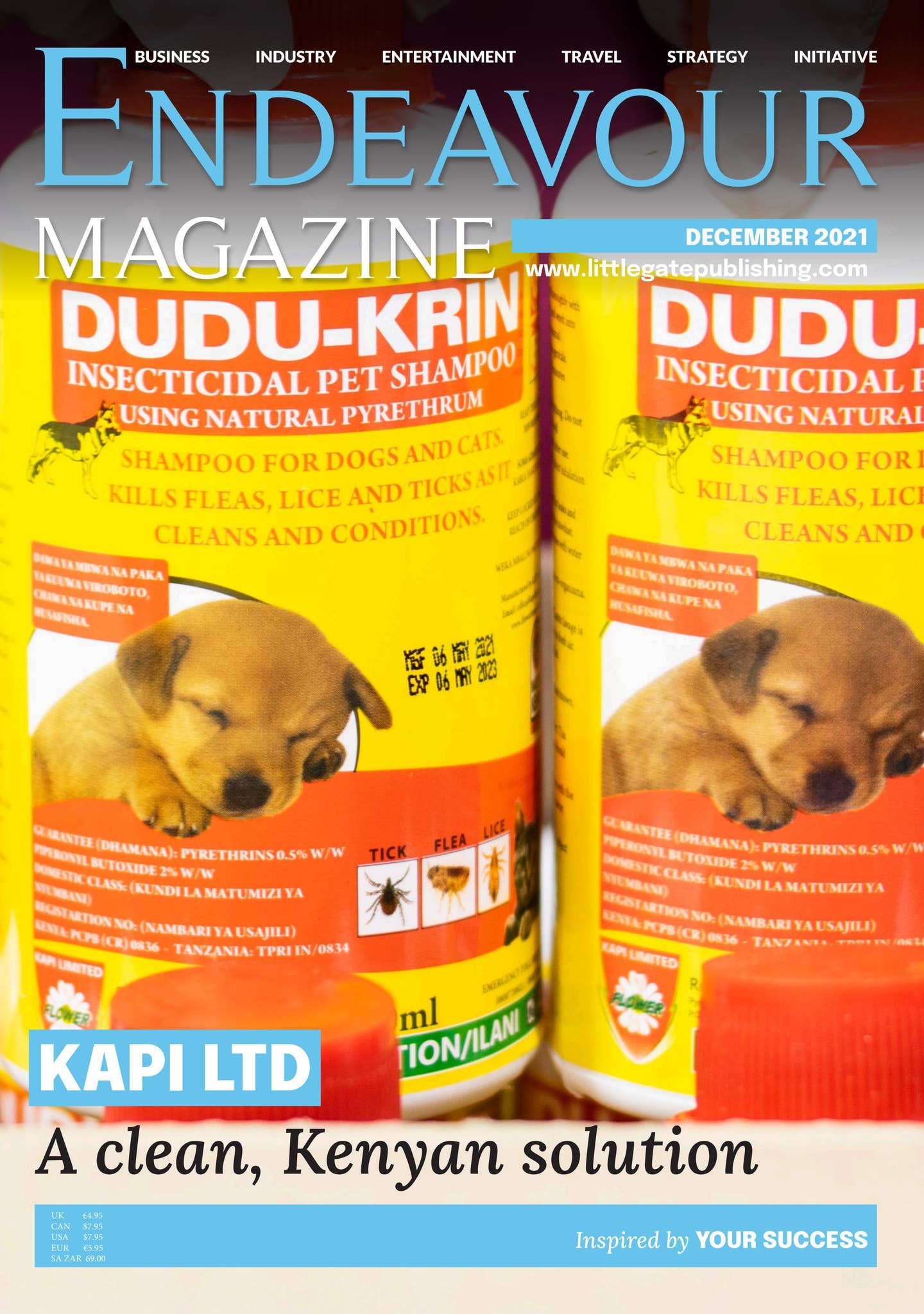 KAPI LTD by Littlegate Publishing - Issuu