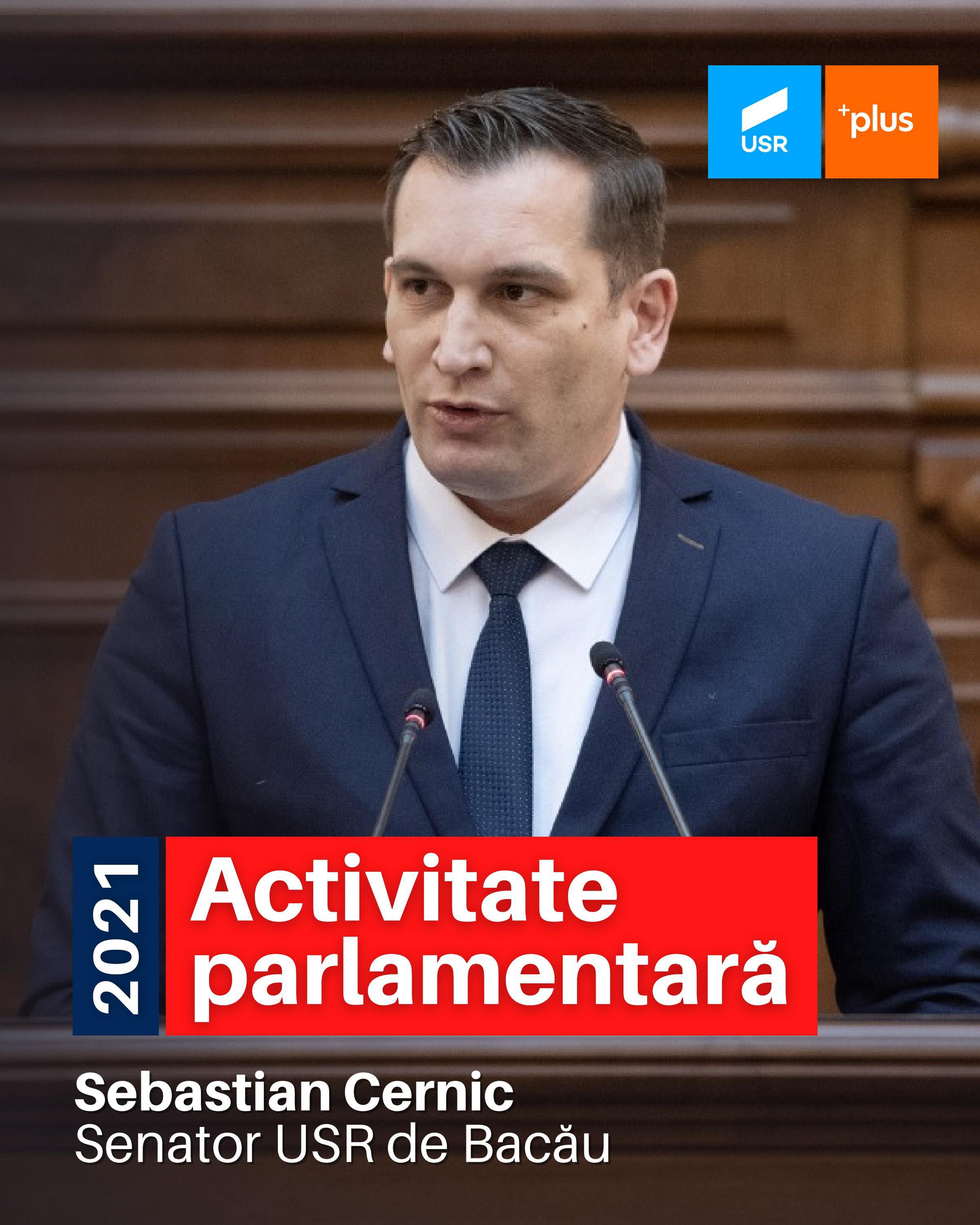 Raport de activitate - Sebastian Cernic - 2021 by Popescu Gheorghe - Issuu