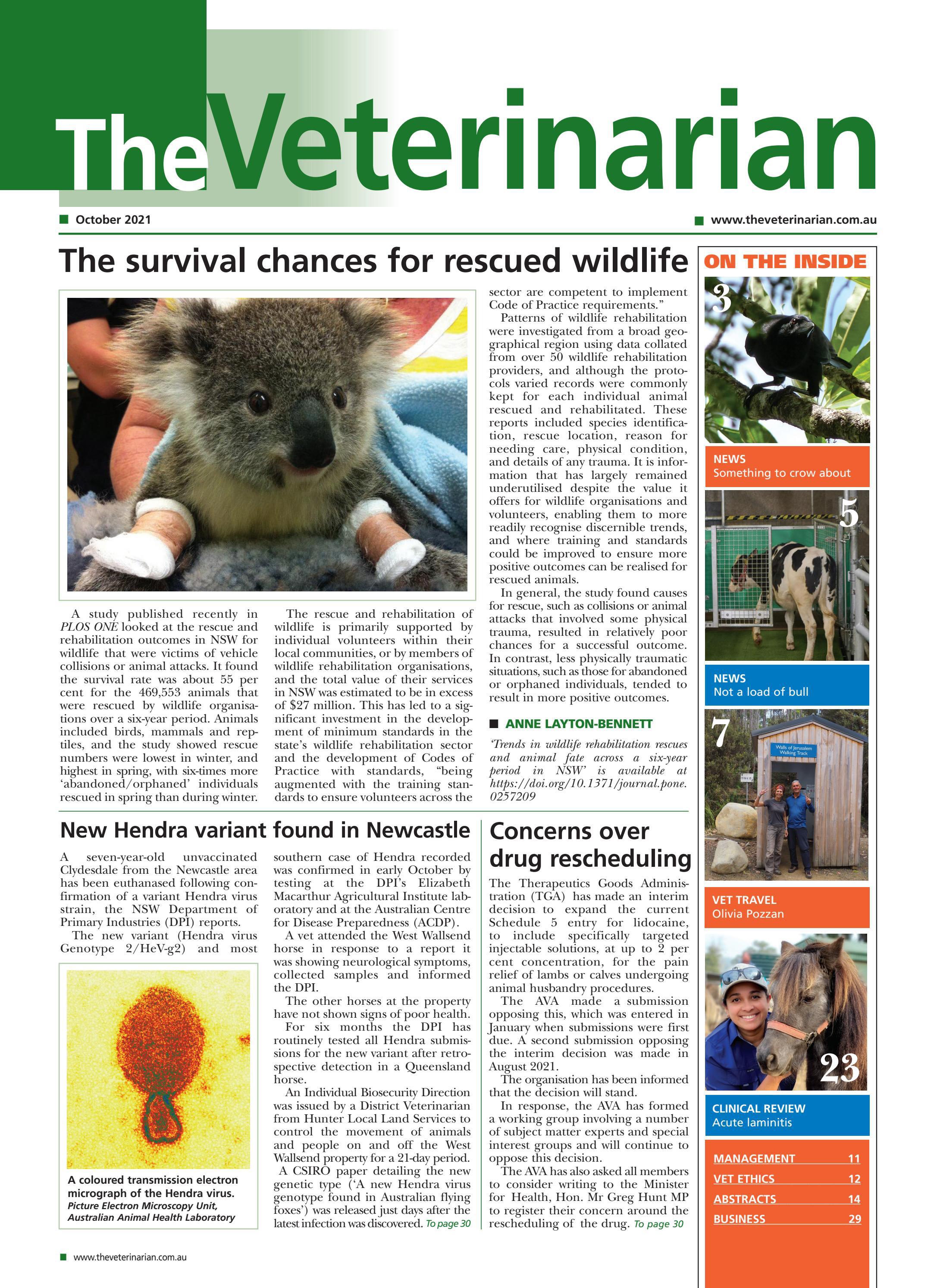 The Veterinarian Magazine October 2021 Issue by The Veterinarian ...