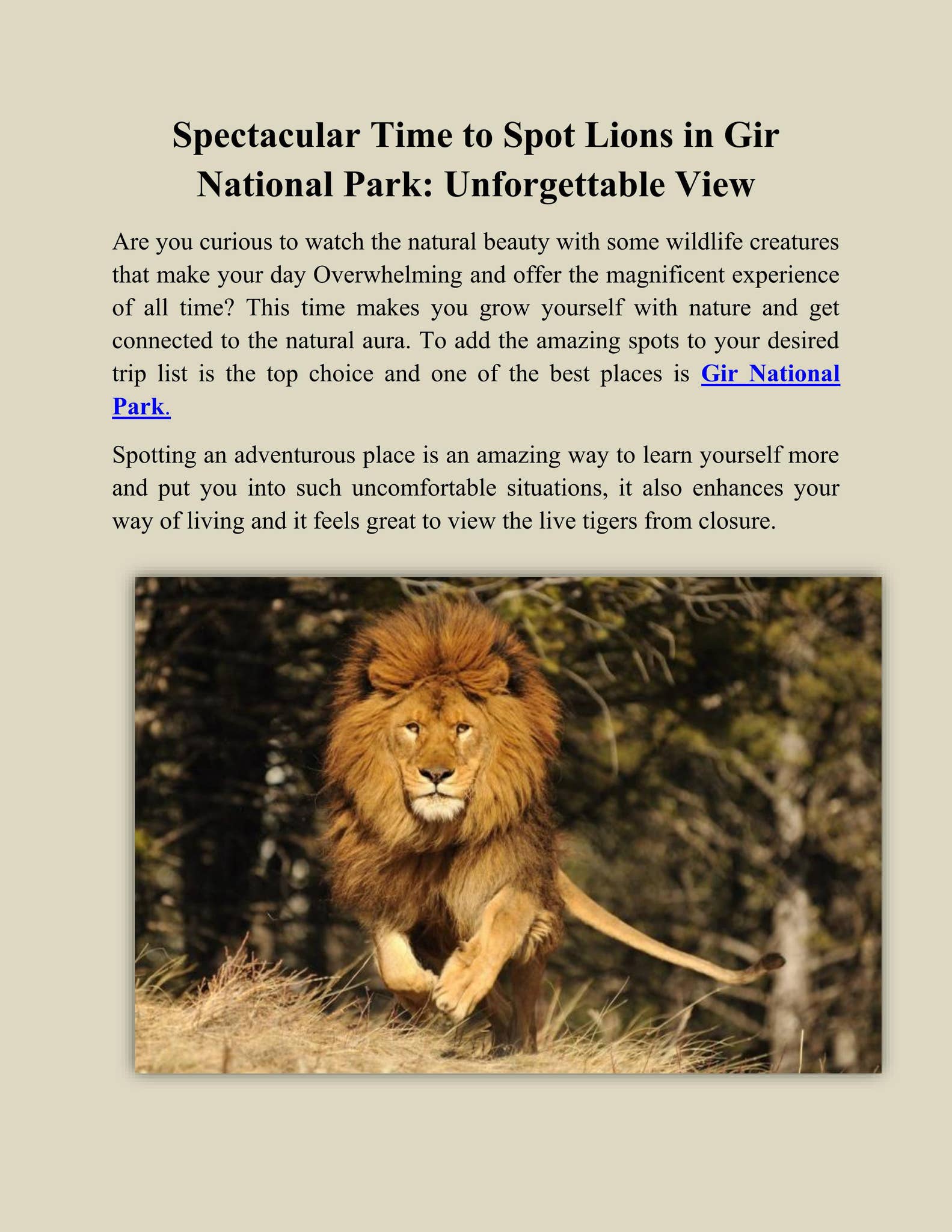 Spectacular Time to Spot Lions in Gir National Park by Gir Lion Safari ...