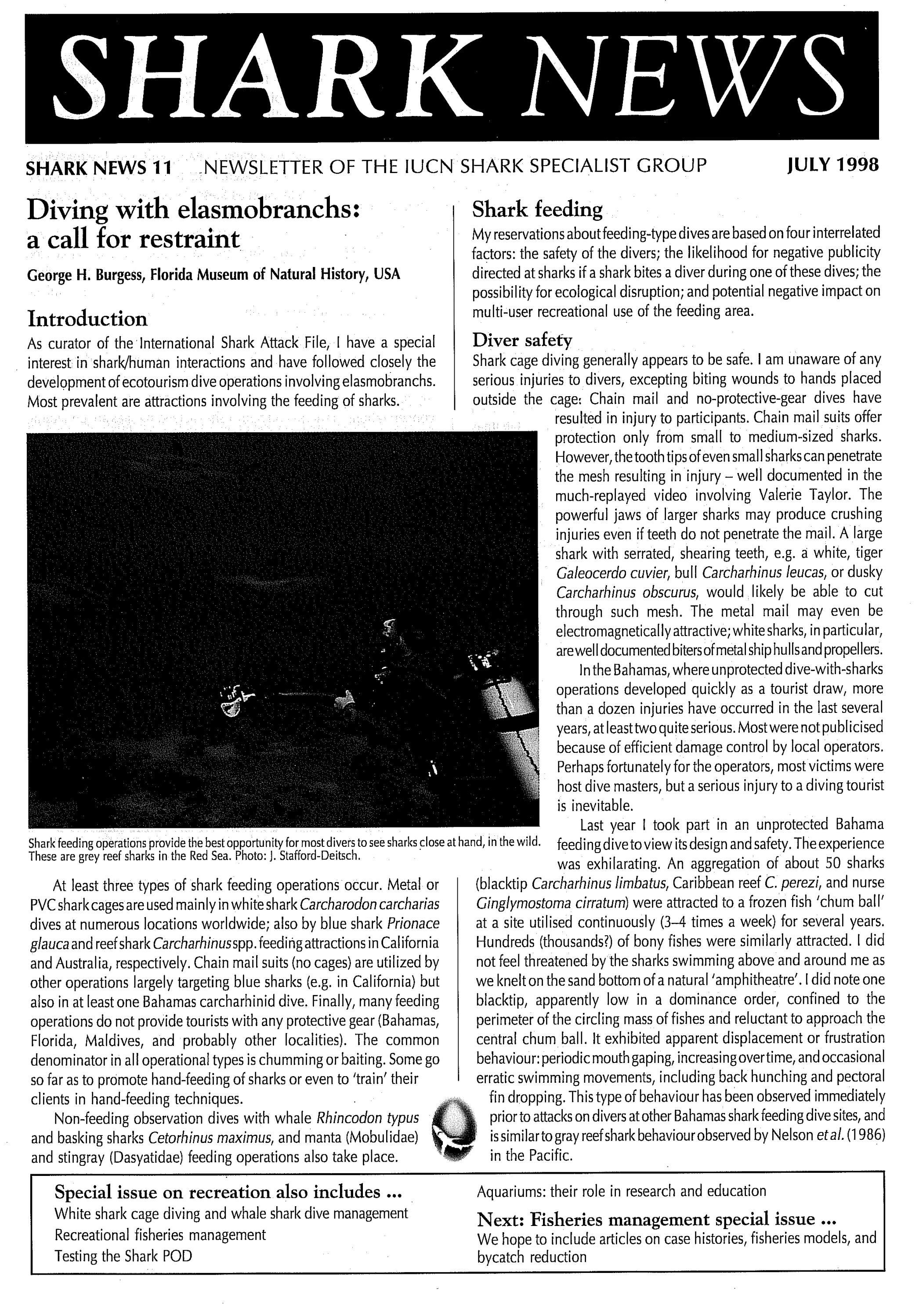 Shark News | Newsletter | July 1998 by IUCN SSC Shark Specialist Group ...