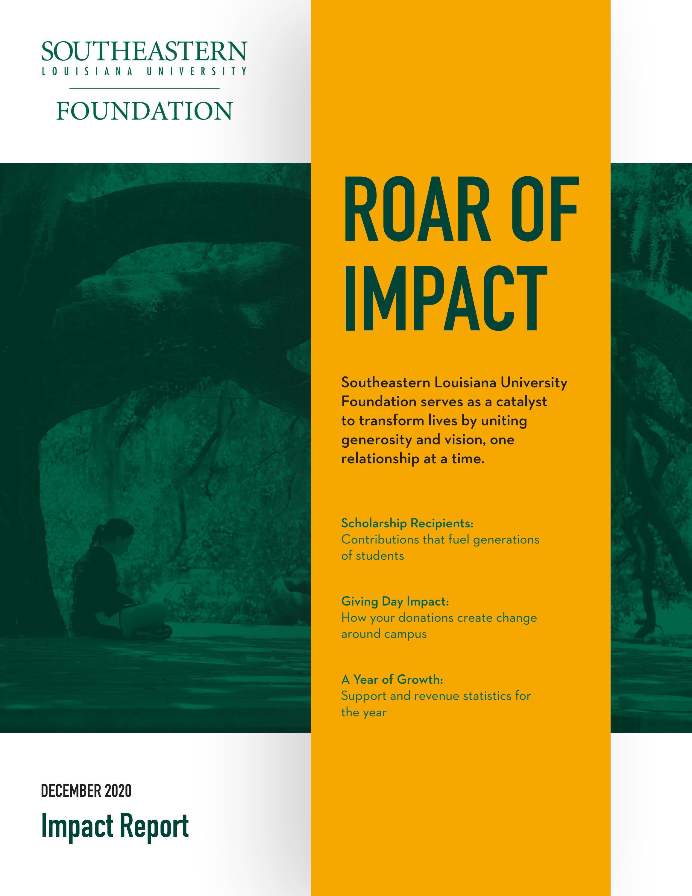 Southeastern Foundation 2020 Impact Report by oursoutheastern - Issuu