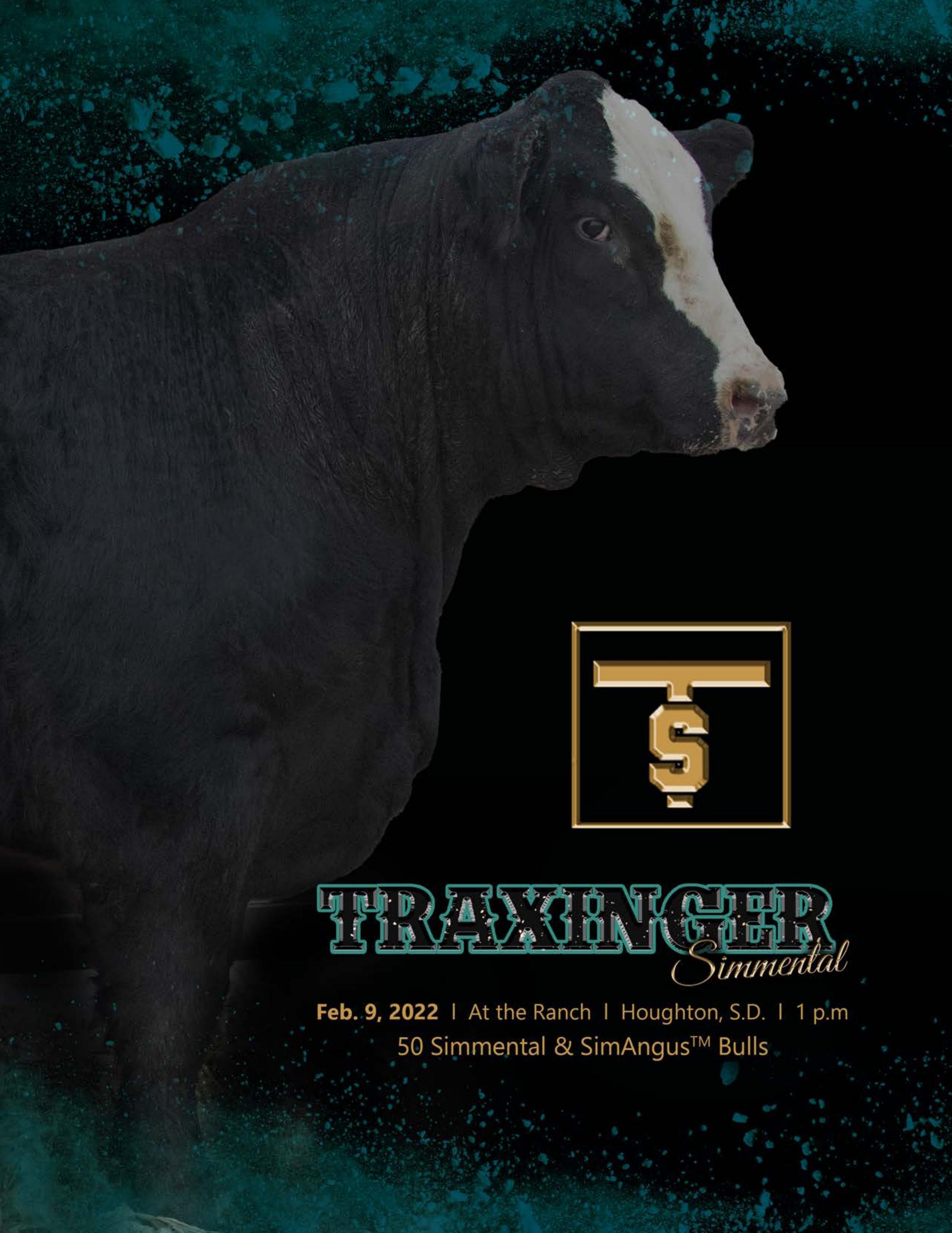 Traxinger Simmental - 2022 Spring Bull Sale Catalog by LivestockDirect ...