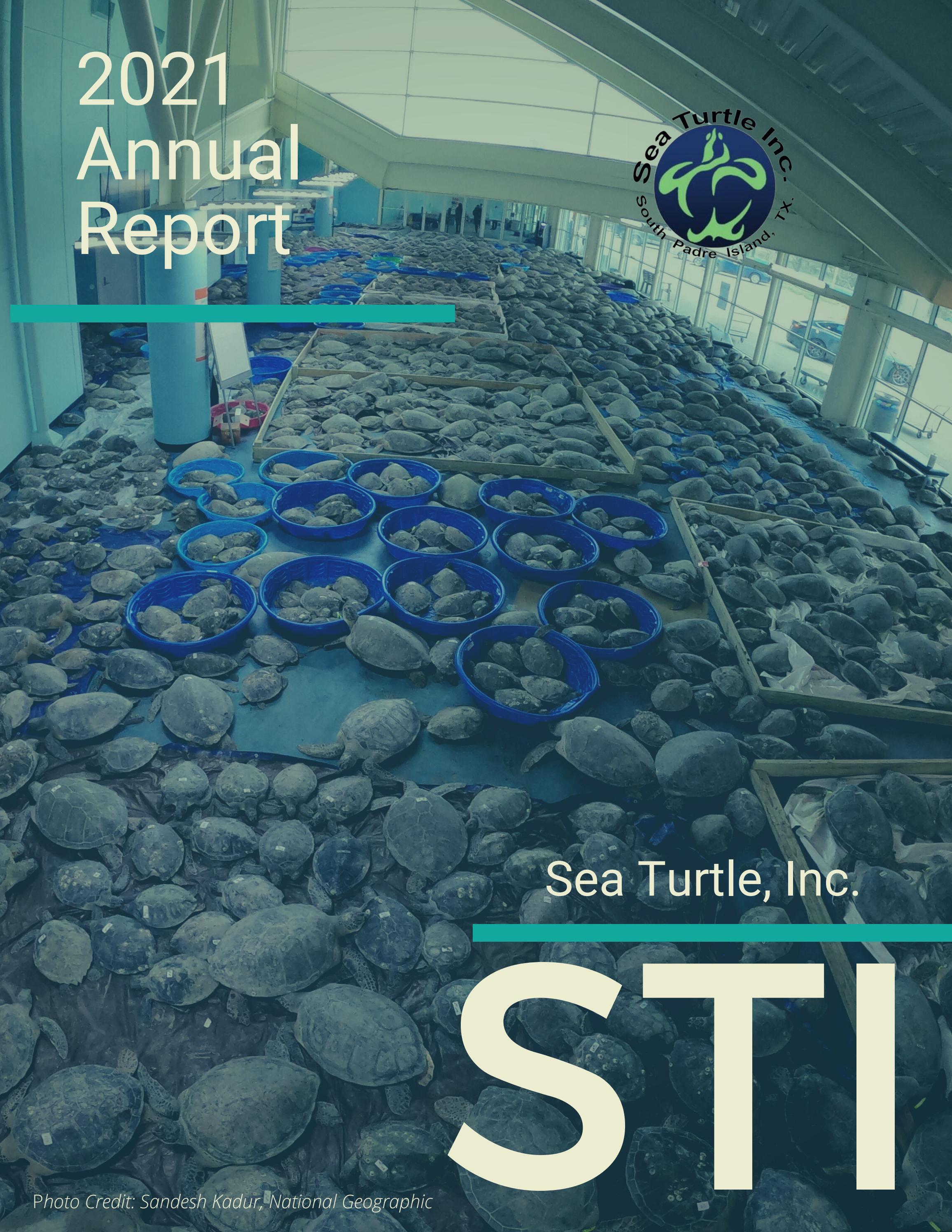 Sea Turtle Inc Annual Report 2021 by Sea Turtle Inc. - Issuu