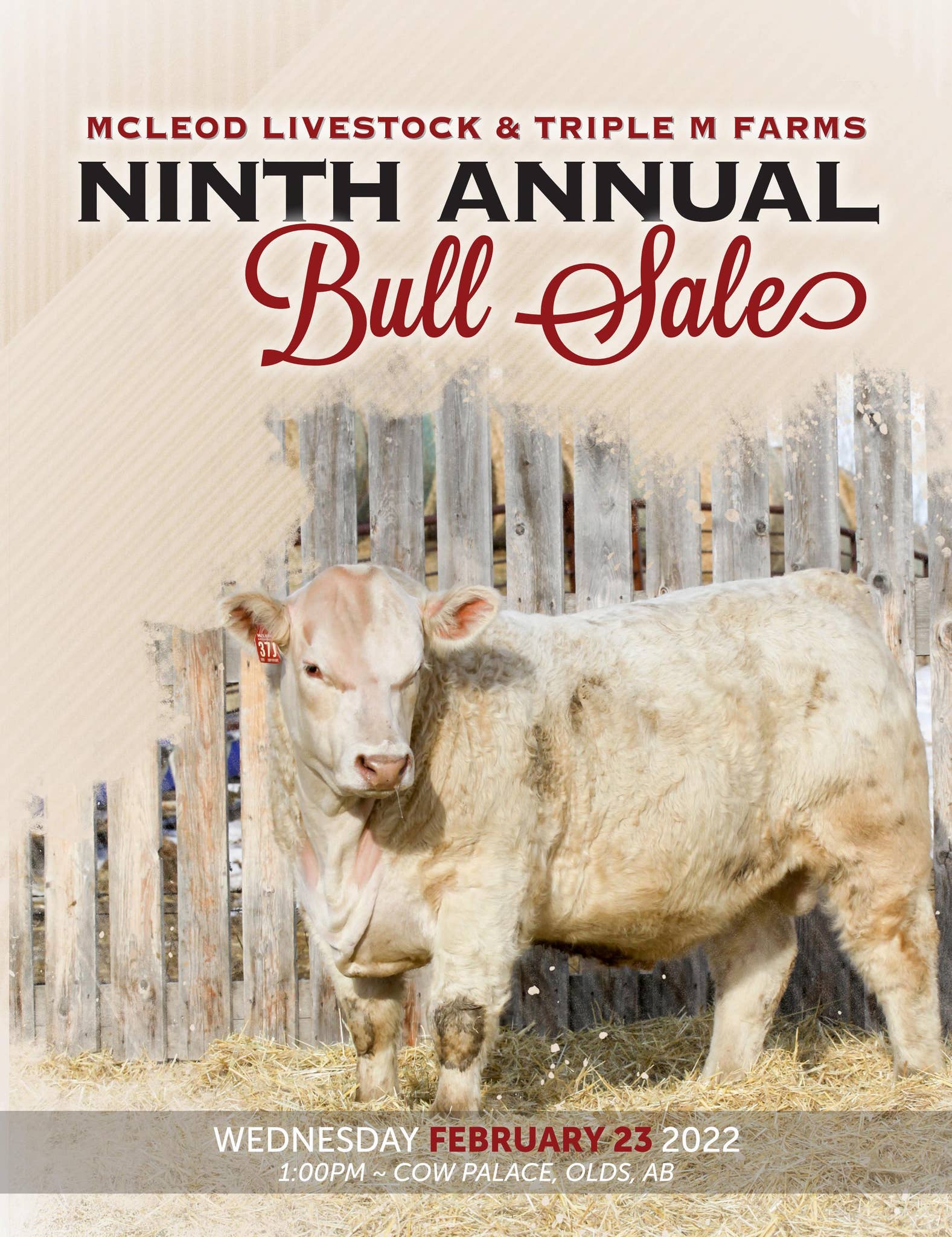 McLeod Livestock & Triple M Farms Ninth Annual Bull Sale by McLeod Ag ...