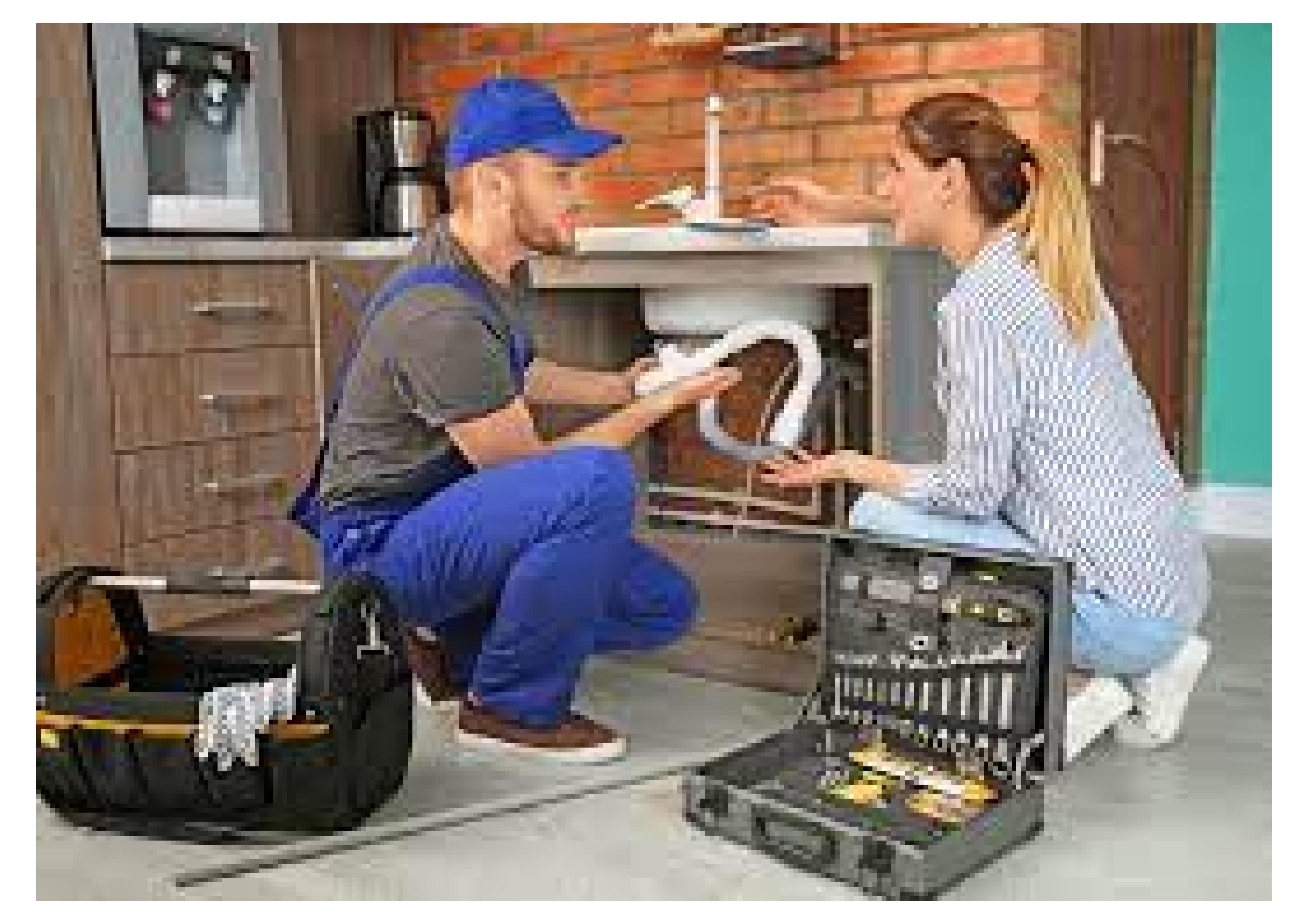 Skilled Plumber in North Vancouver by Seebacher - Issuu