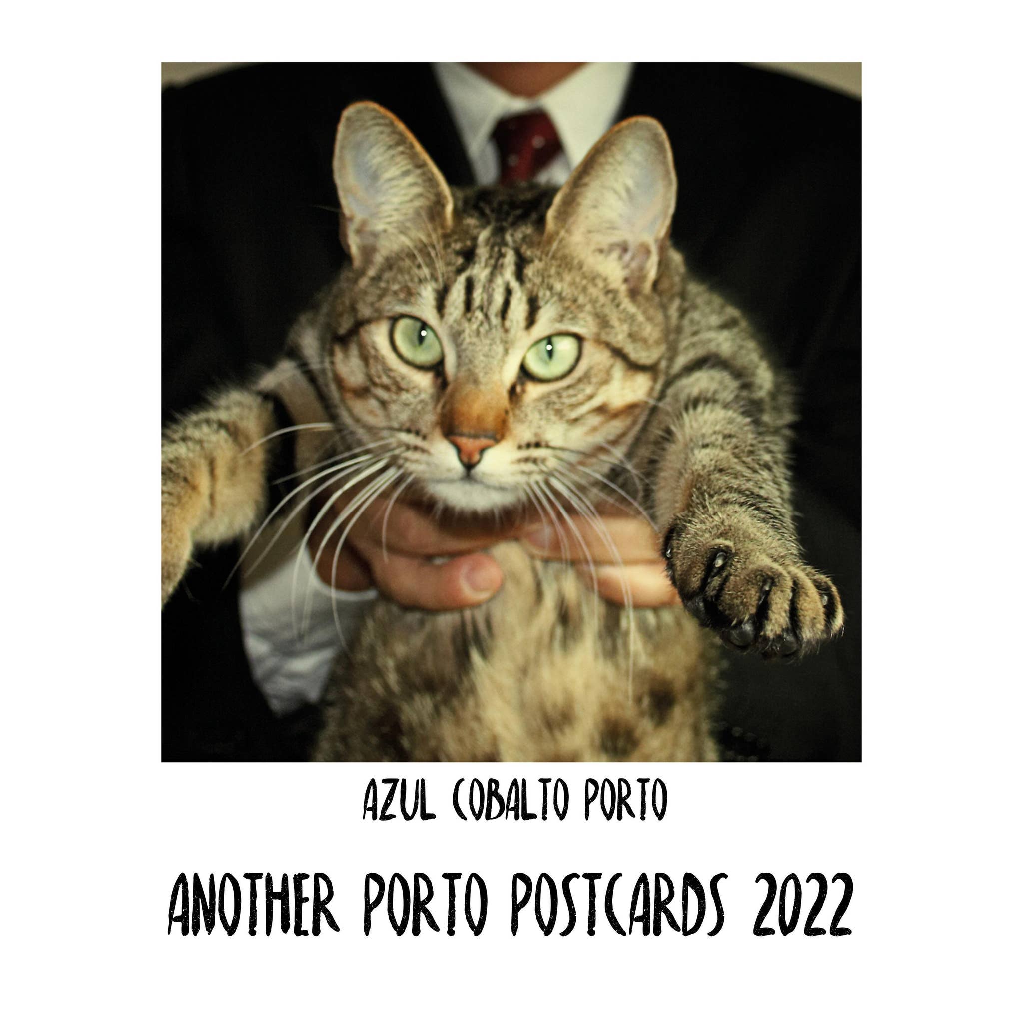 ANOTHER PORTO POSTCARDS 2022 by Luis Martins Pisco - Issuu