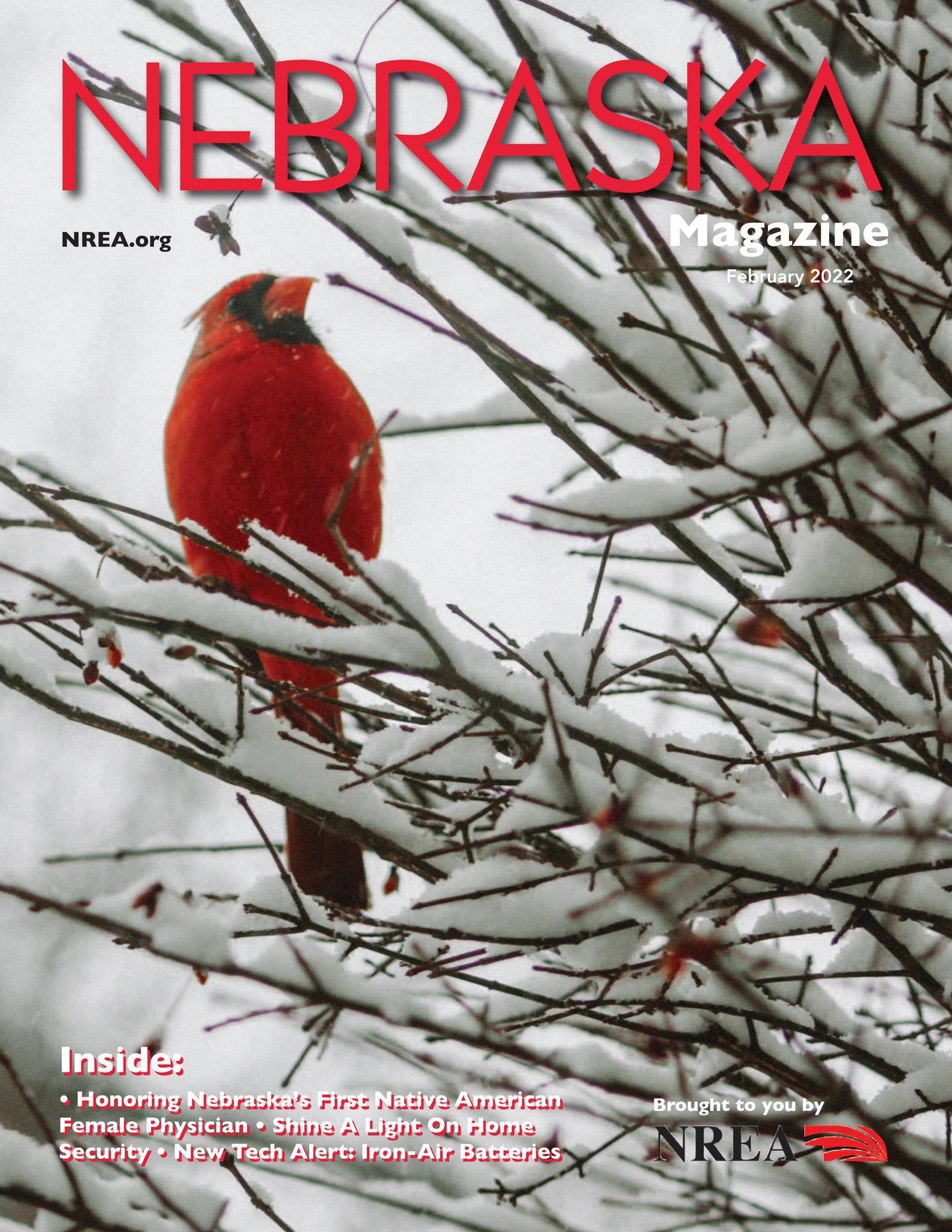Nebraska Magazine - 02/22 by Nebraska Rural Electric Association - Issuu