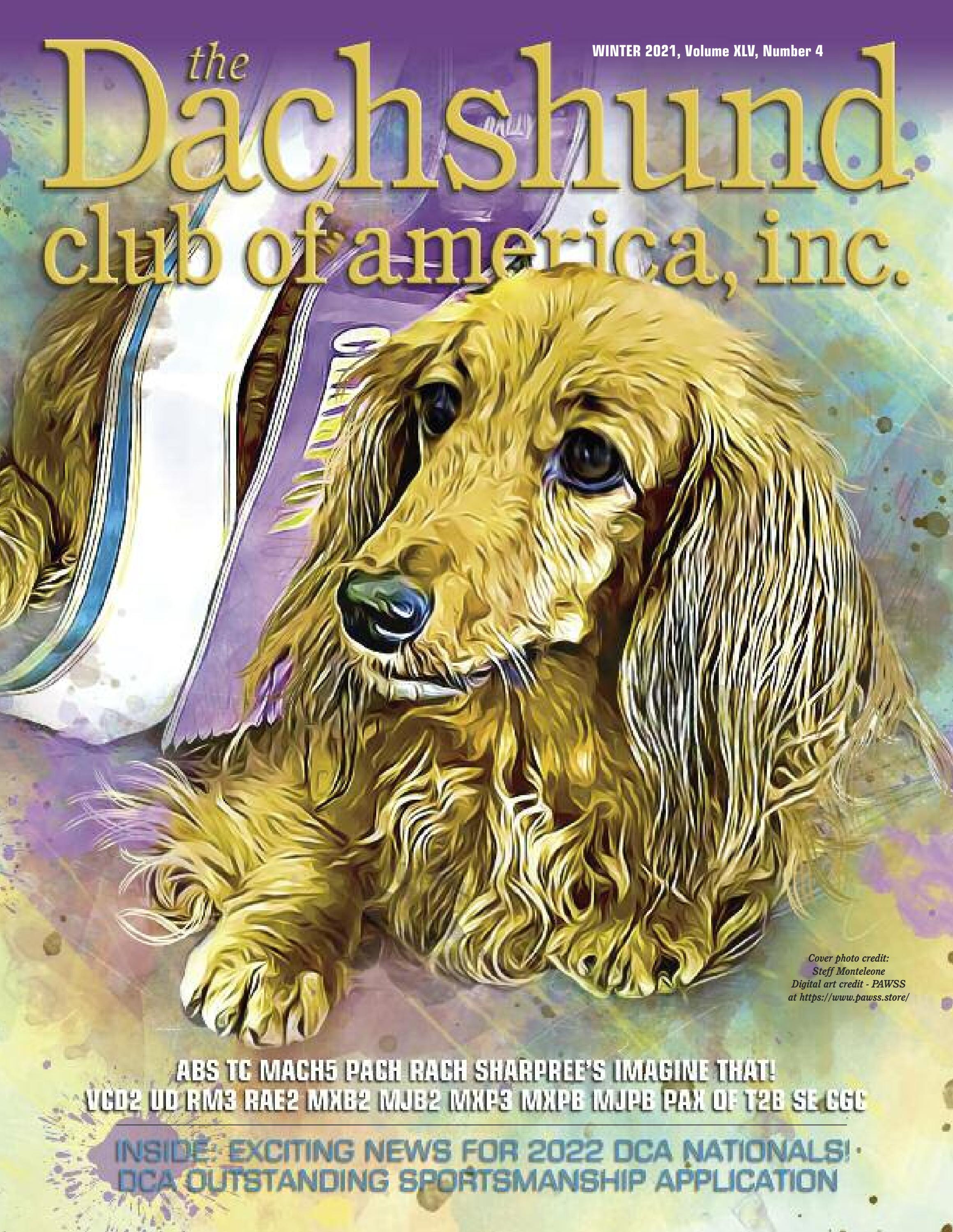 Dachshund Club Of America Winter 2021 Newsletter By Twc910 Issuu