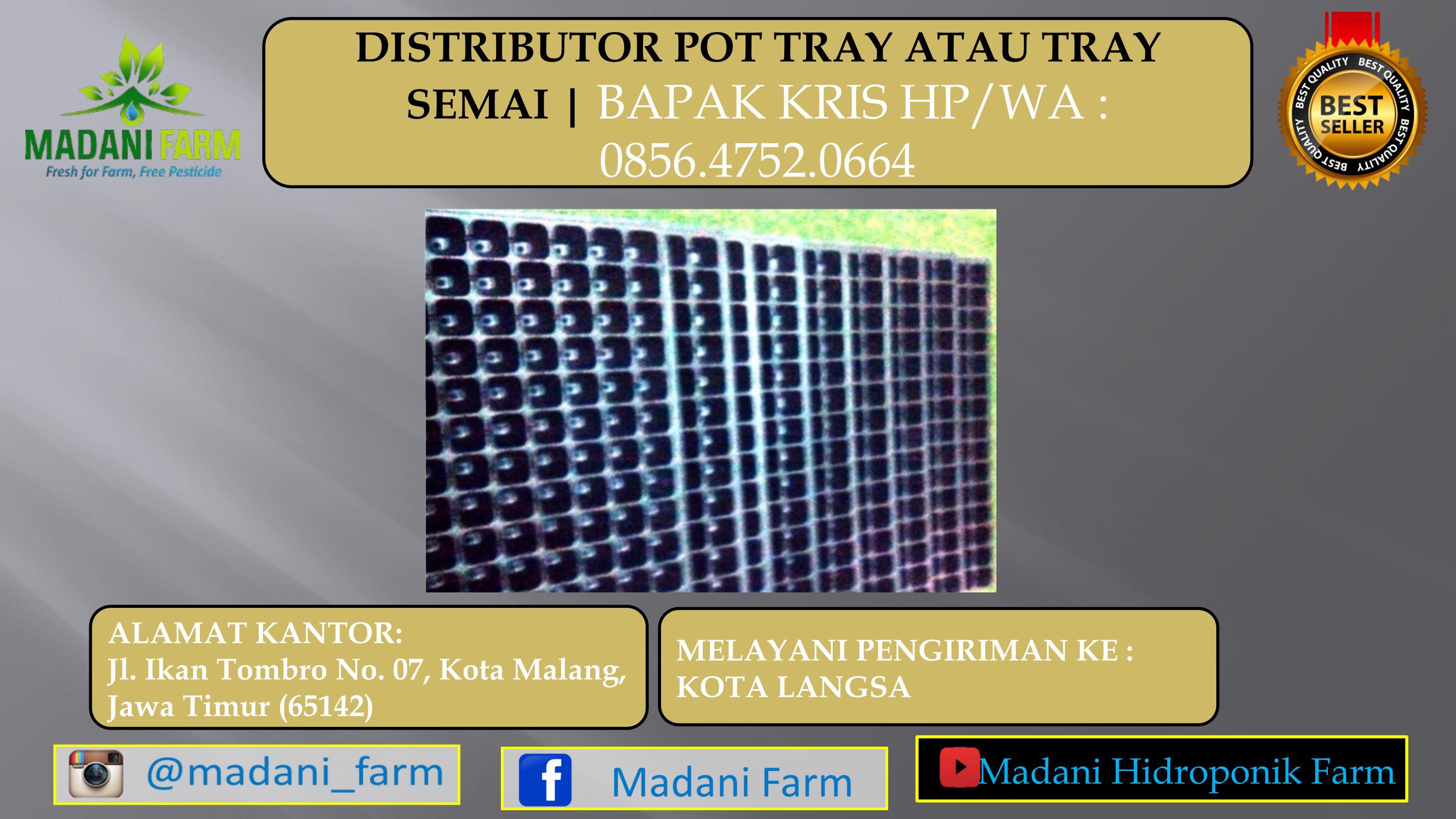 DISTRIBUTOR POT TRAY ATAU TRAY SEMAI | HP/WA 0856.4752.0664 Di by ...