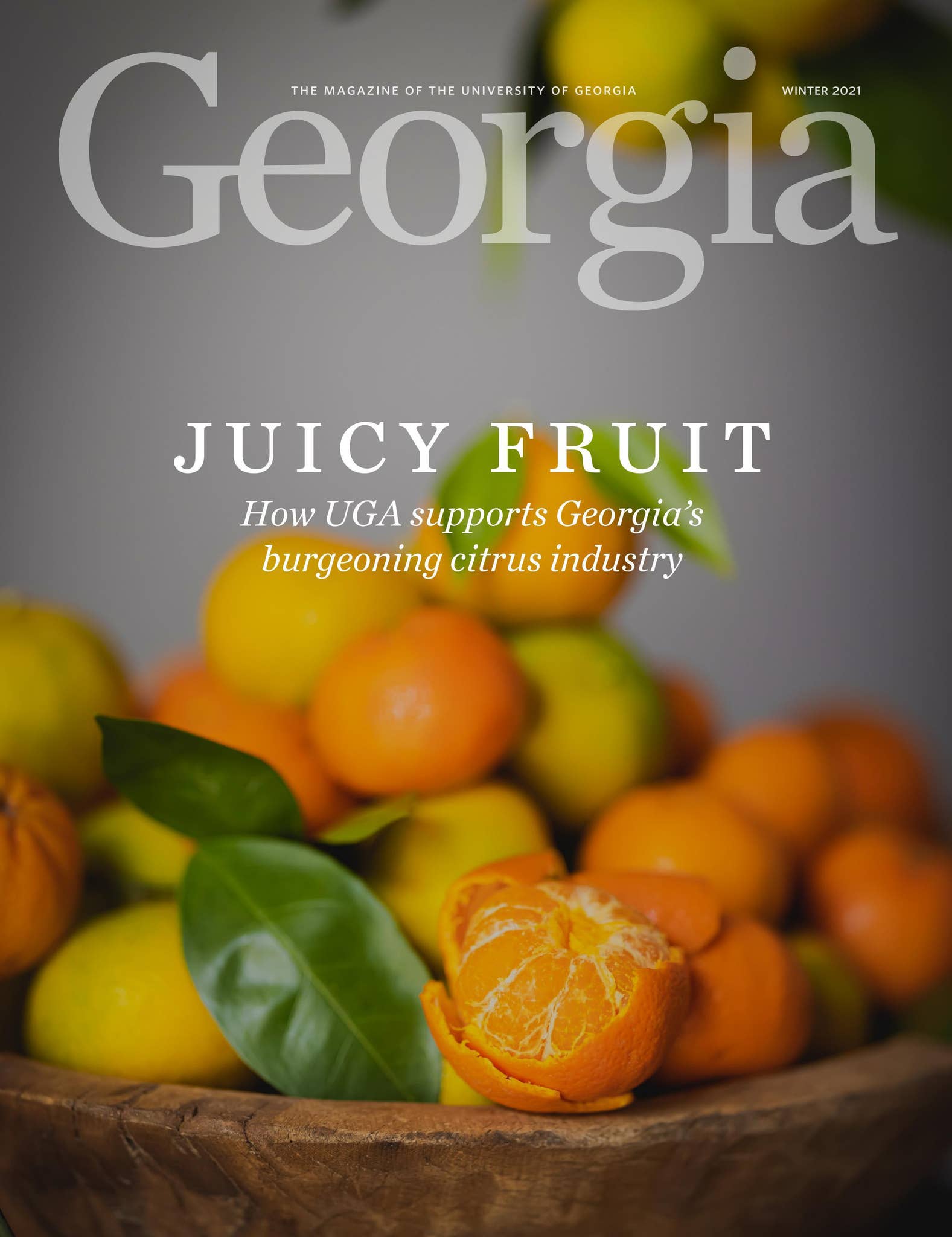 University of Georgia Magazine Winter 2021 by University of Georgia ...