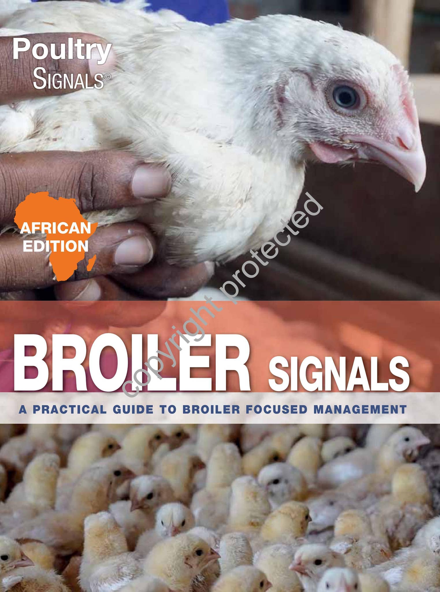 Broiler Signals African Edition (English edition) by Roodbont ...