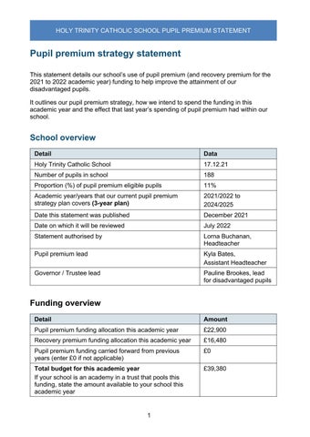 Pupil Premium Strategy 2021-2024 by Schudio - Issuu