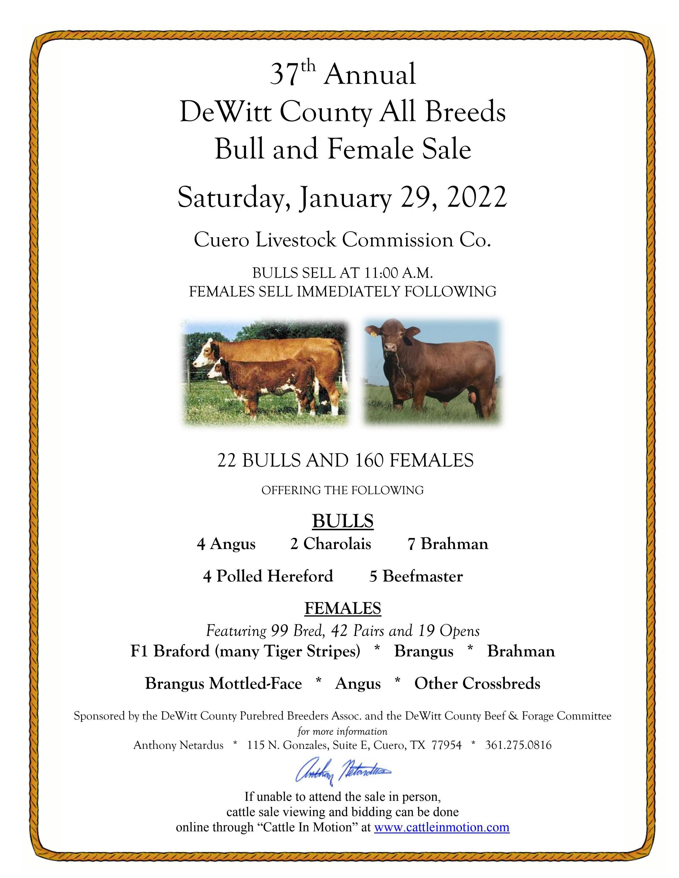 DCPBA All Breed Bull and Replacement Female Sale by Cattle In Motion ...