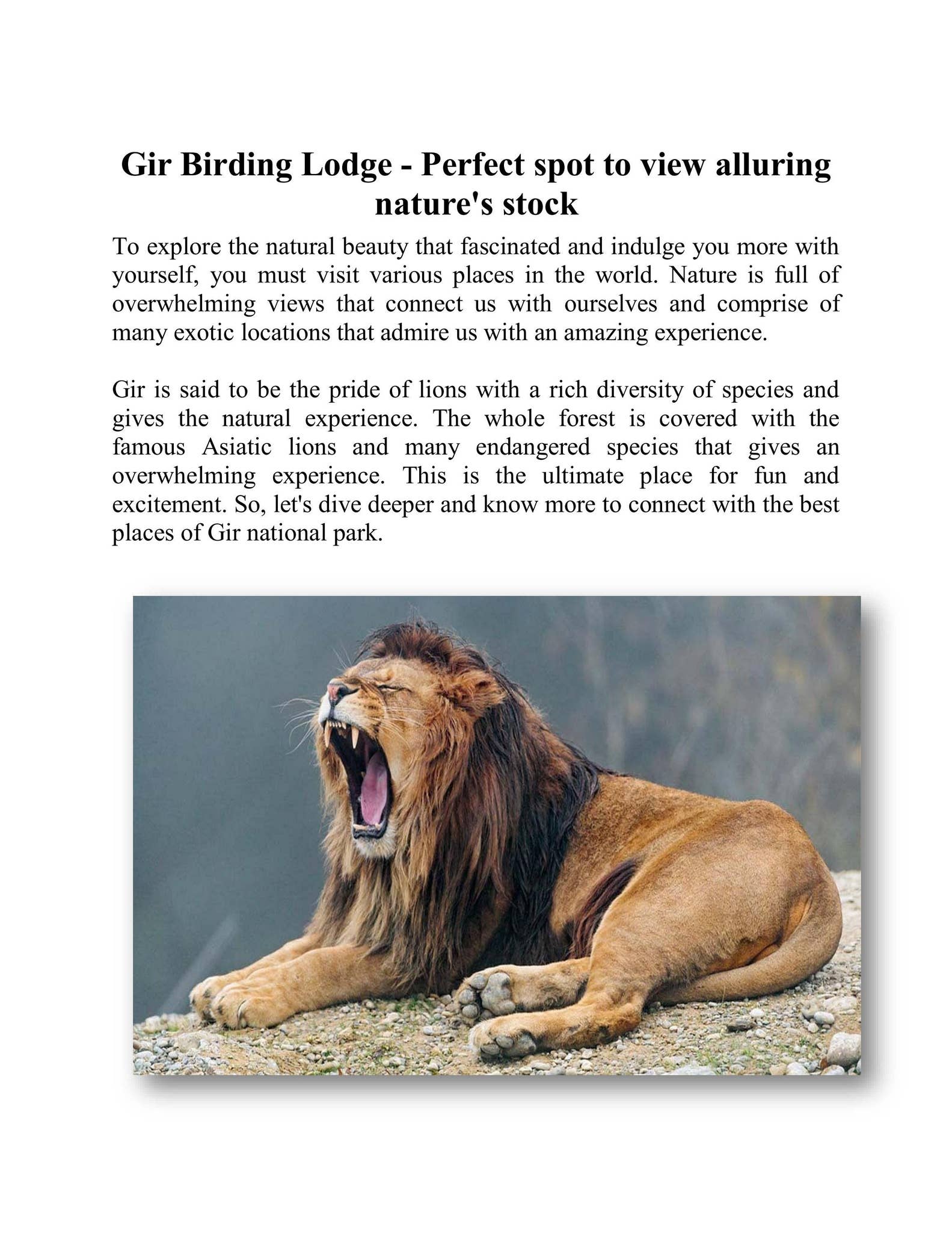 Gir Birding Lodge - Perfect spot to view alluring nature's stock by Gir ...