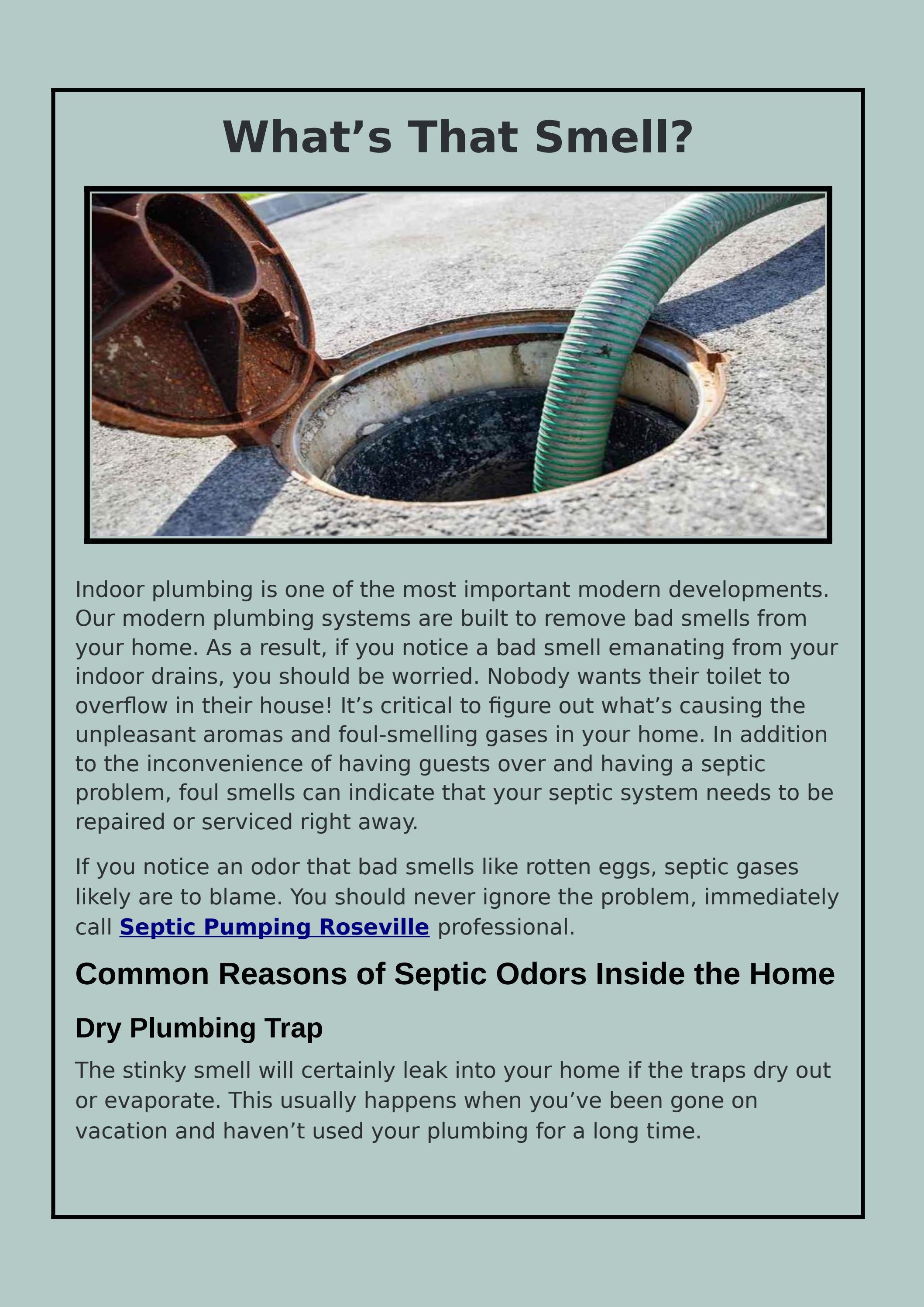 What’s That Smell? by Advanced Septic Service LLC - Issuu