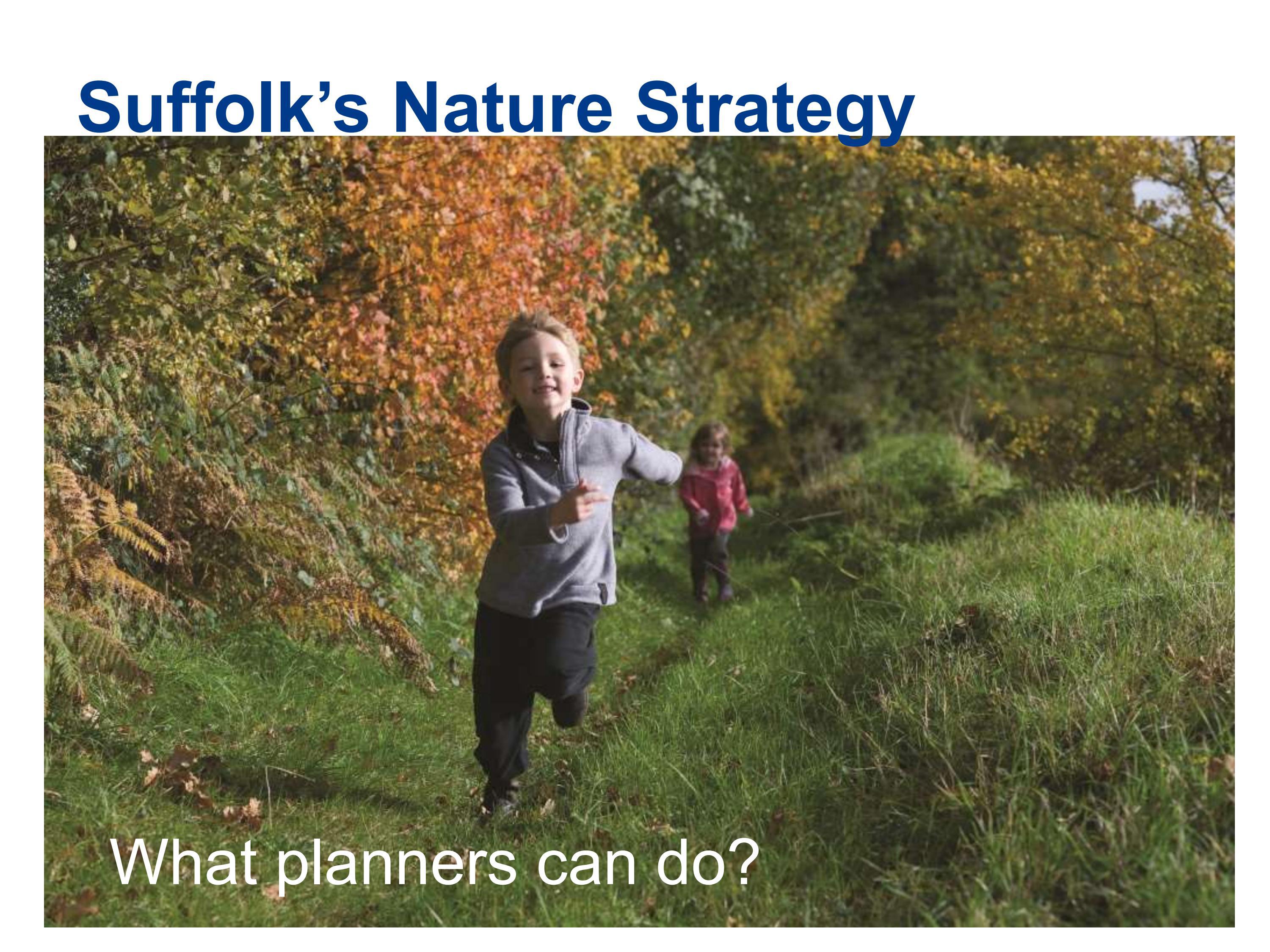 Suffolk Nature Strategy – Opportunities for planners to make a ...