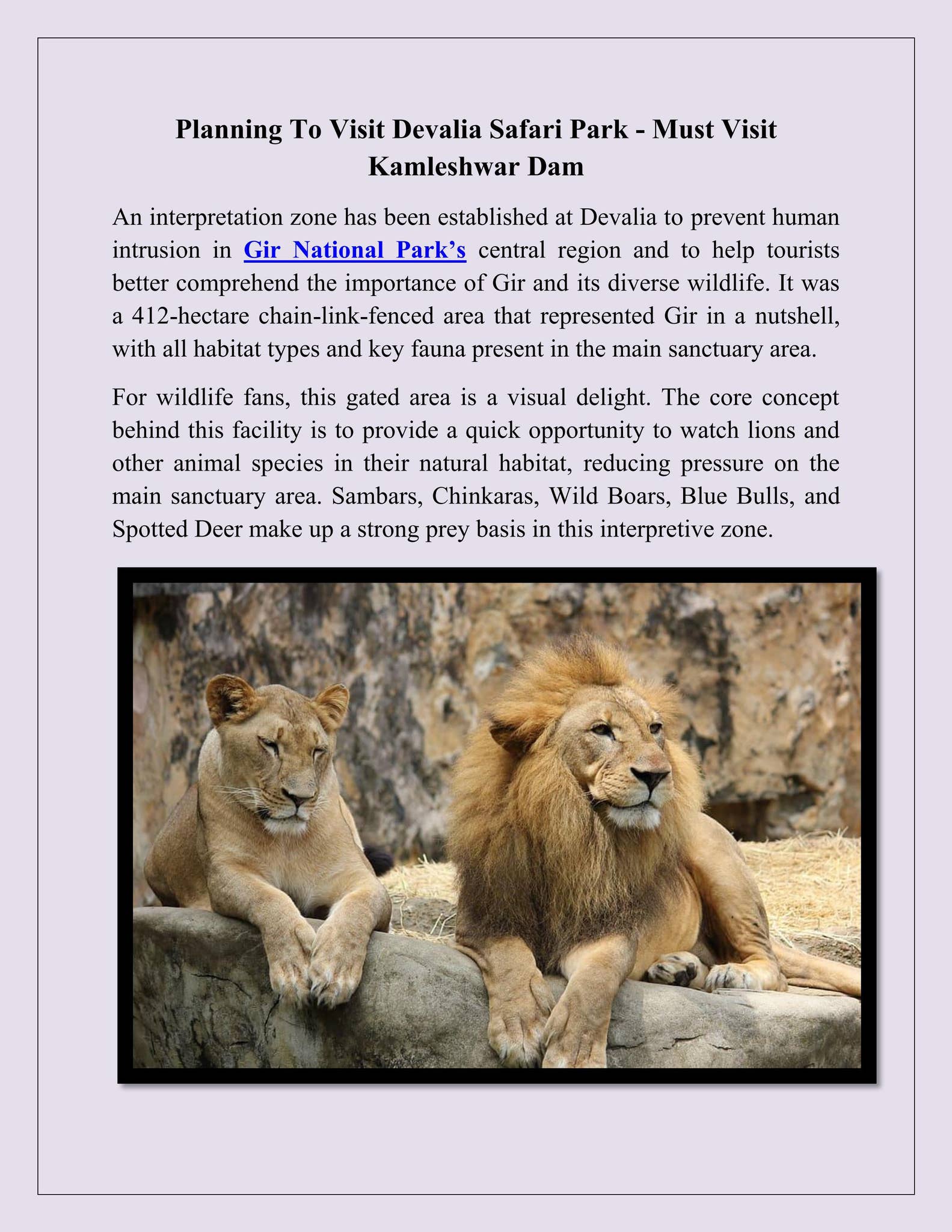 Planning To Visit Devalia Safari Park by Gir Lion Safari - Issuu