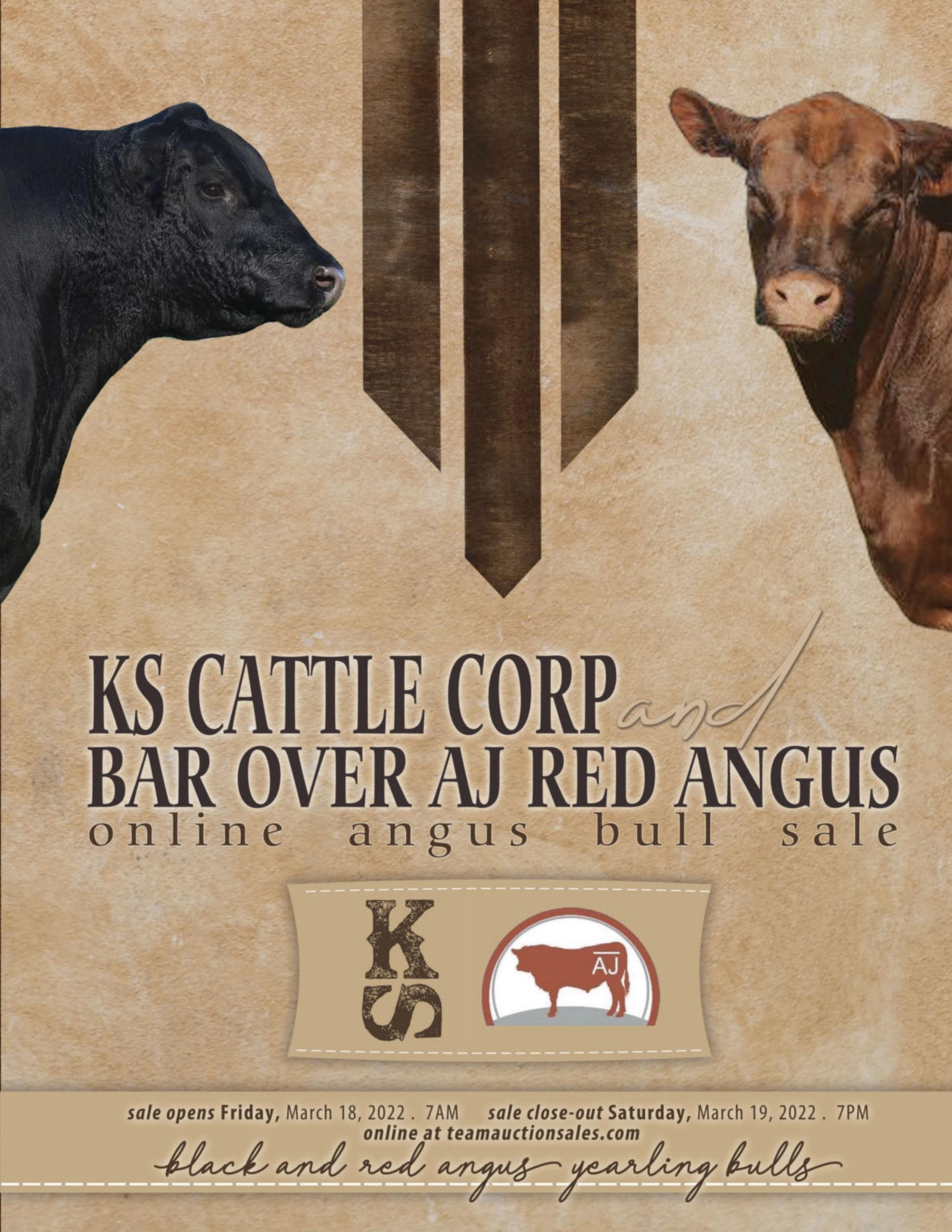KS Cattle Corp and Bar Over AJ Red Angus Online Angus Bull Sale by ...
