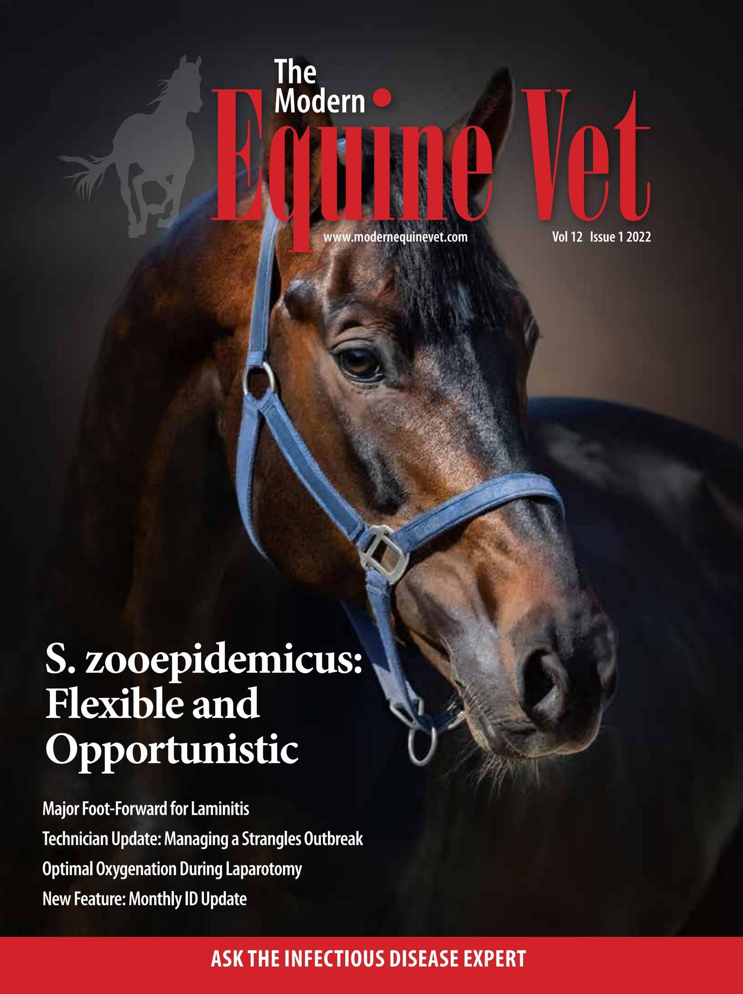 The Modern Equine Vet - January 2022 by The Modern Equine Vet - Issuu