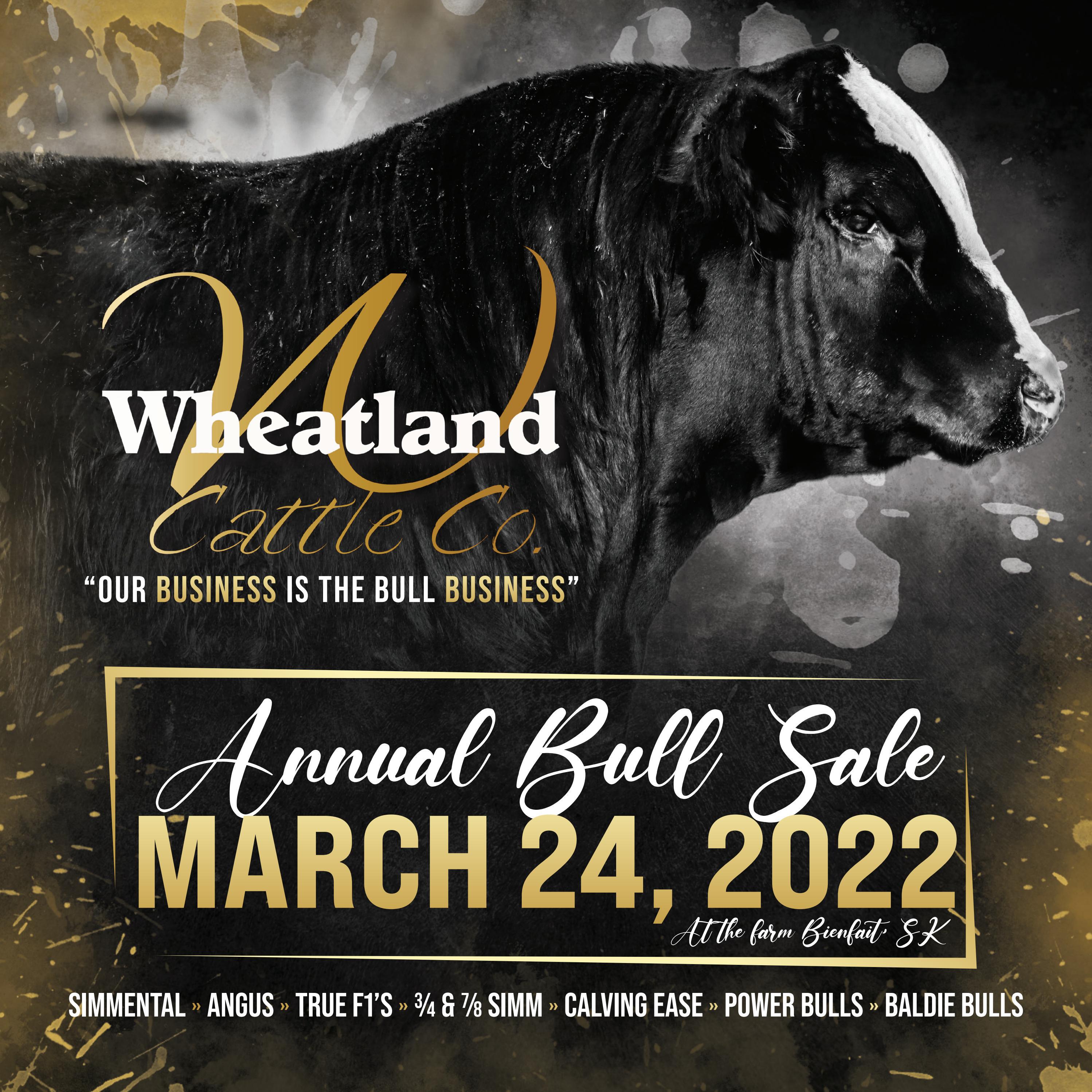 Wheatland Cattle Co Annual Bull Sale Flyer by Today's Publishing Inc ...